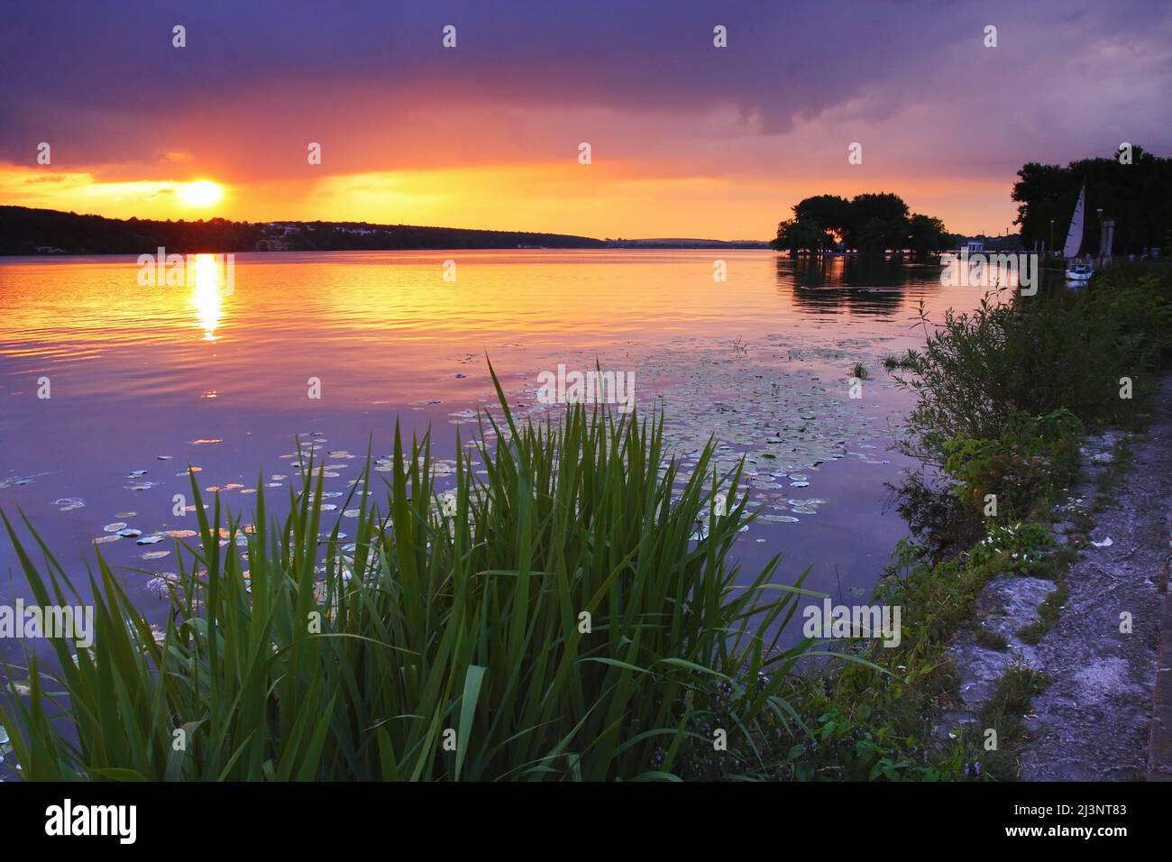 Wildlife morning landscape river hi-res stock photography and images ...