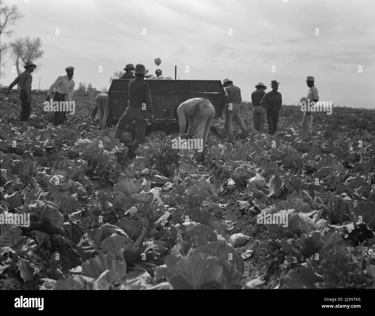 Taylor valley Black and White Stock Photos & Images - Alamy