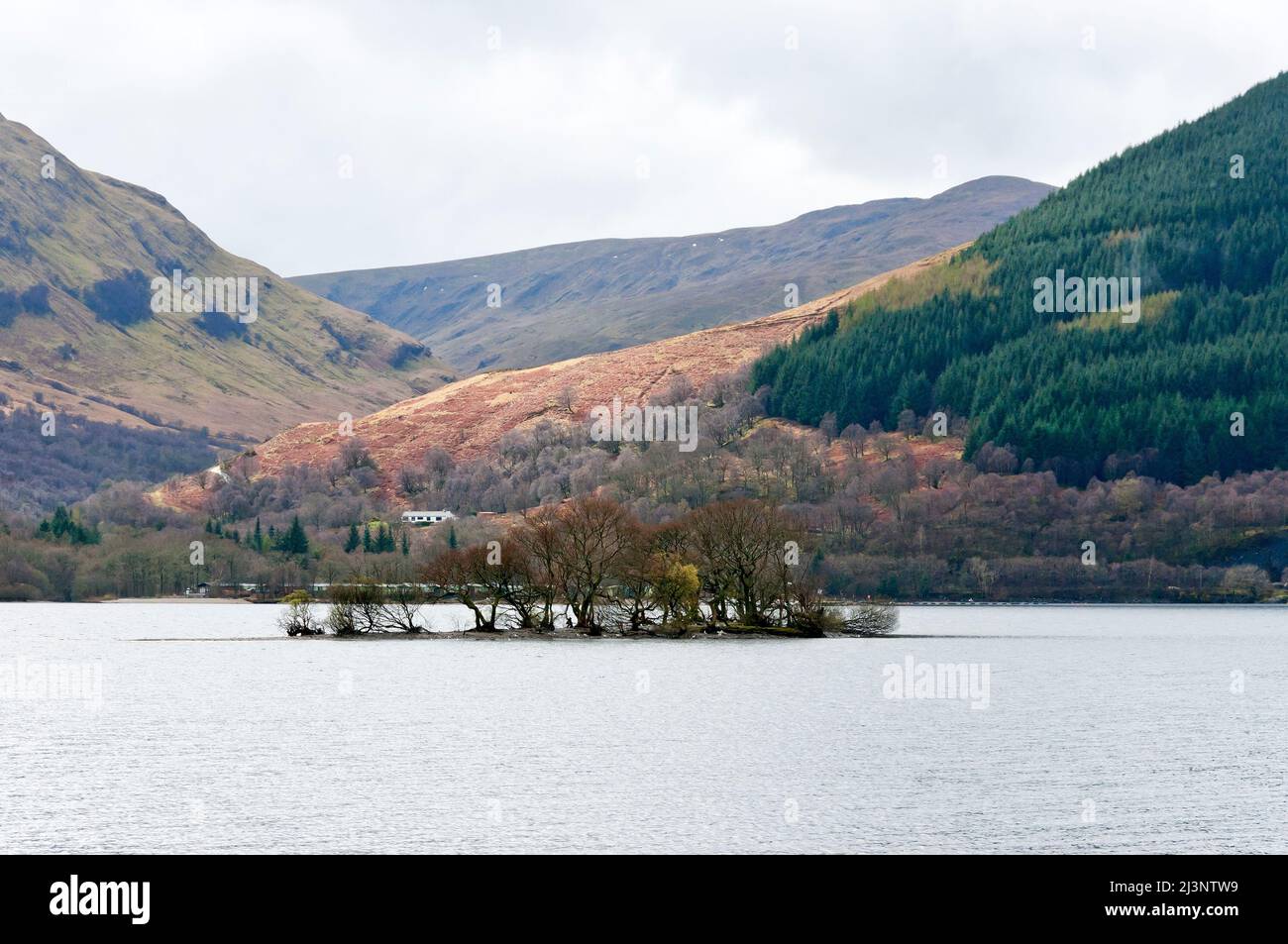 Loch Lomond at Rowardennan, Scotland Stock Photo - Alamy