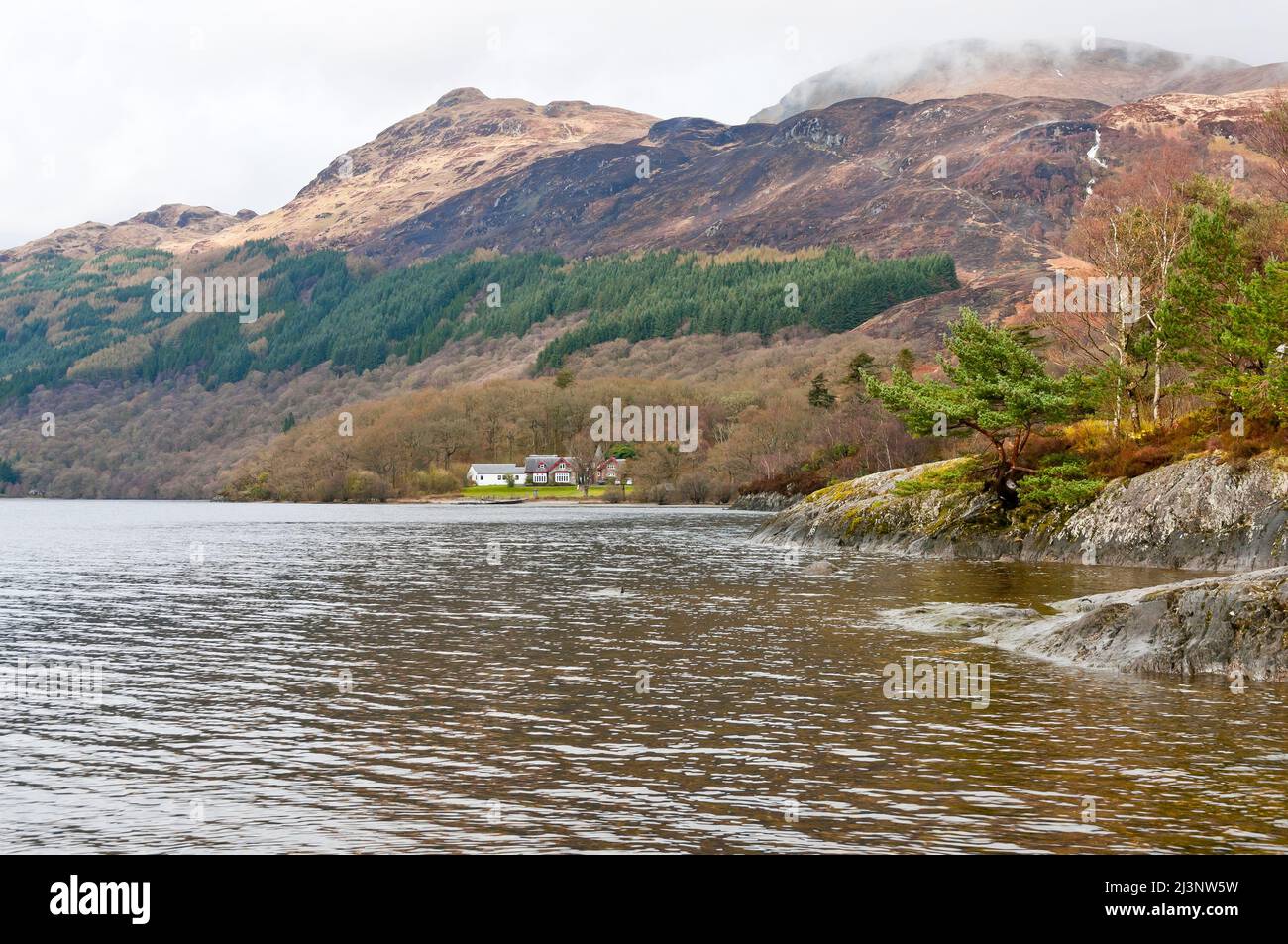 Loch Lomond at Rowardennan, Scotland Stock Photo - Alamy