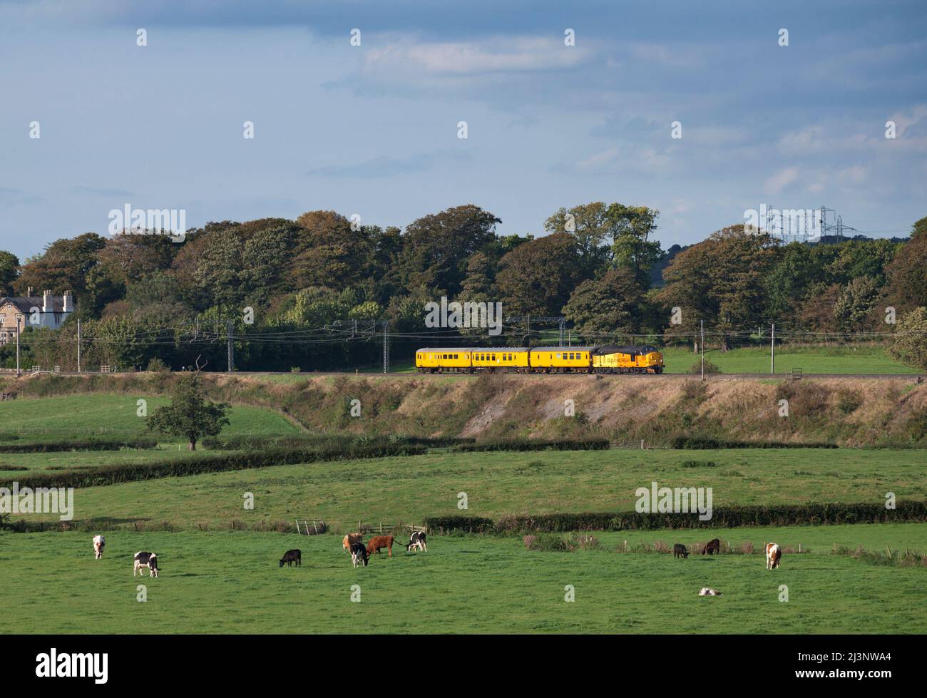 Colas Railfreight class 37 diesel locomotive 37219 propelling a Network ...