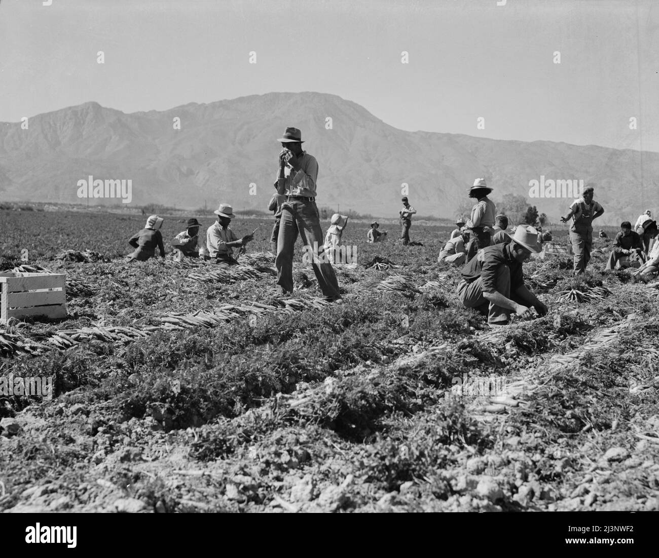 Noon thirty hi-res stock photography and images - Alamy