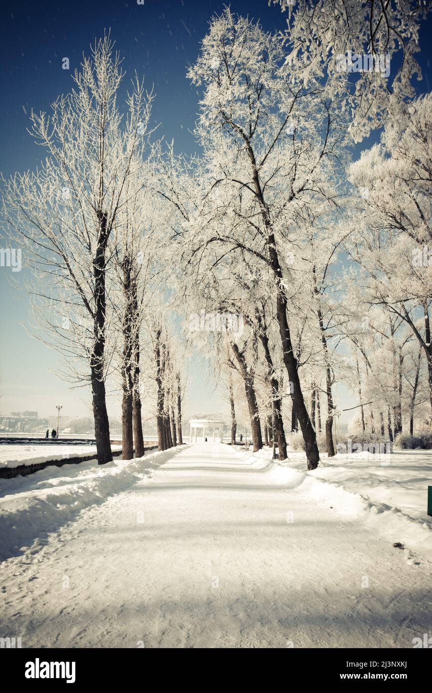 Beautiful winter landscape with snow covered trees Stock Photo - Alamy