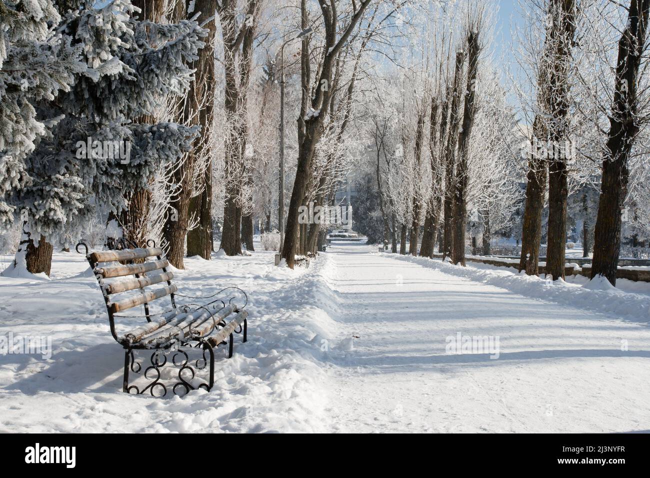 Beautiful winter landscape with snow covered trees Stock Photo - Alamy