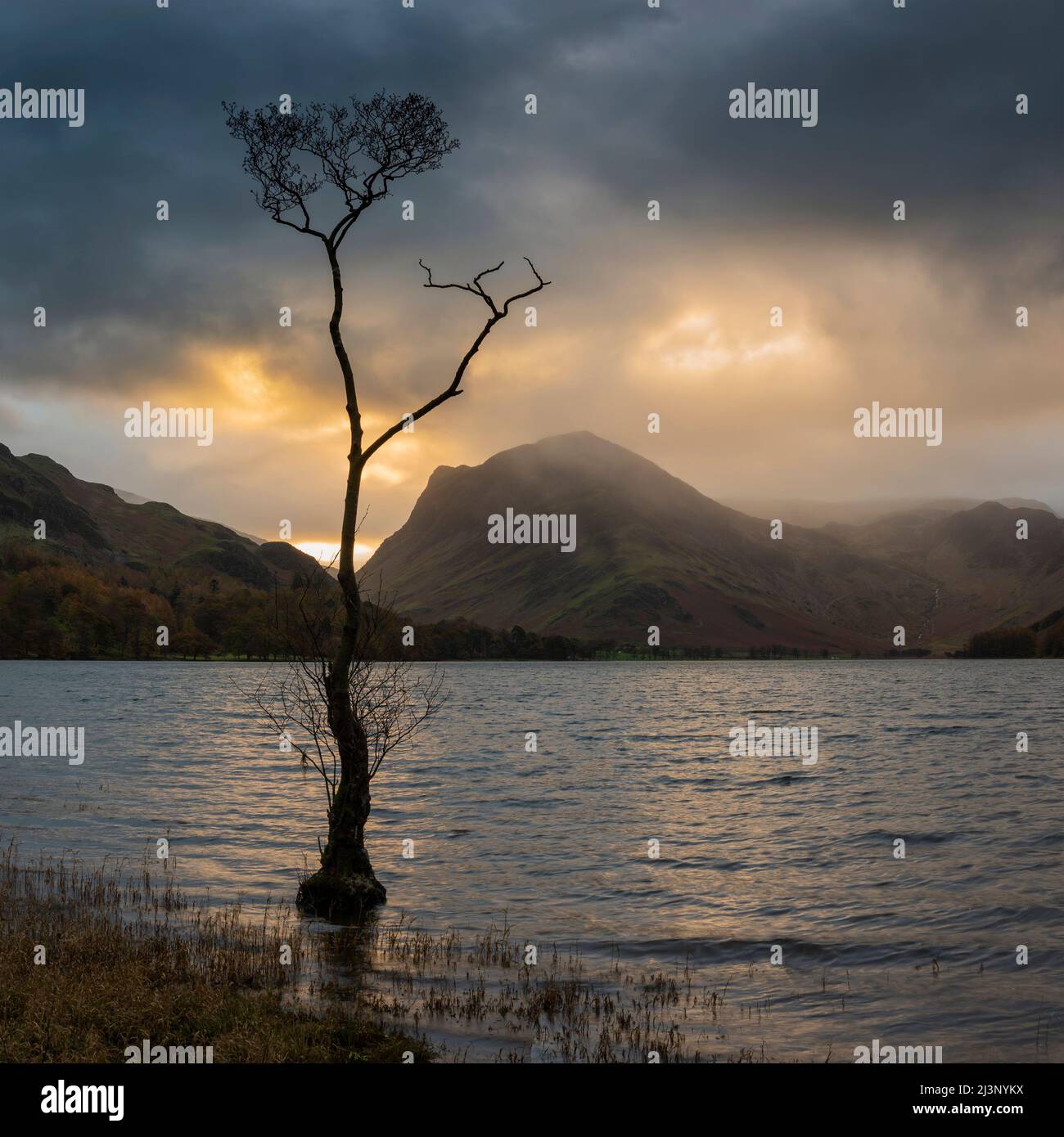 Stunning Autumn sunrise landscape image of Buttermere in Lake District ...