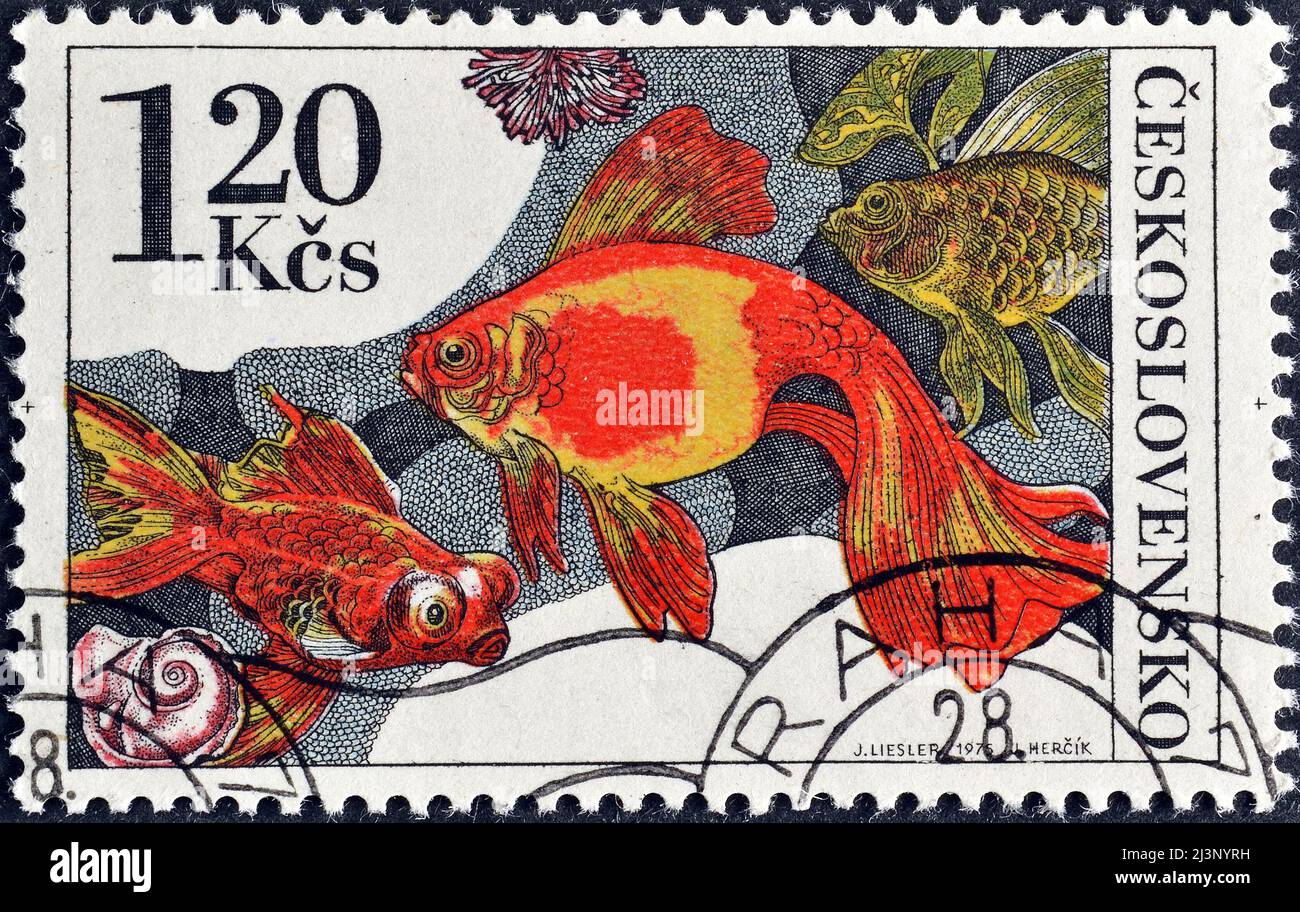 Cancelled postage stamp printed by Czechoslovakia, that shows Veil ...