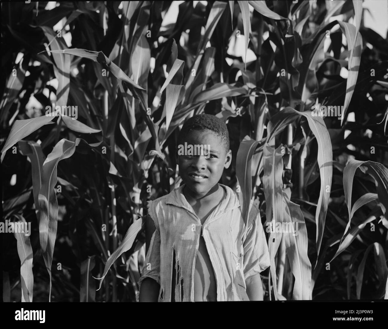 African Negro Boy