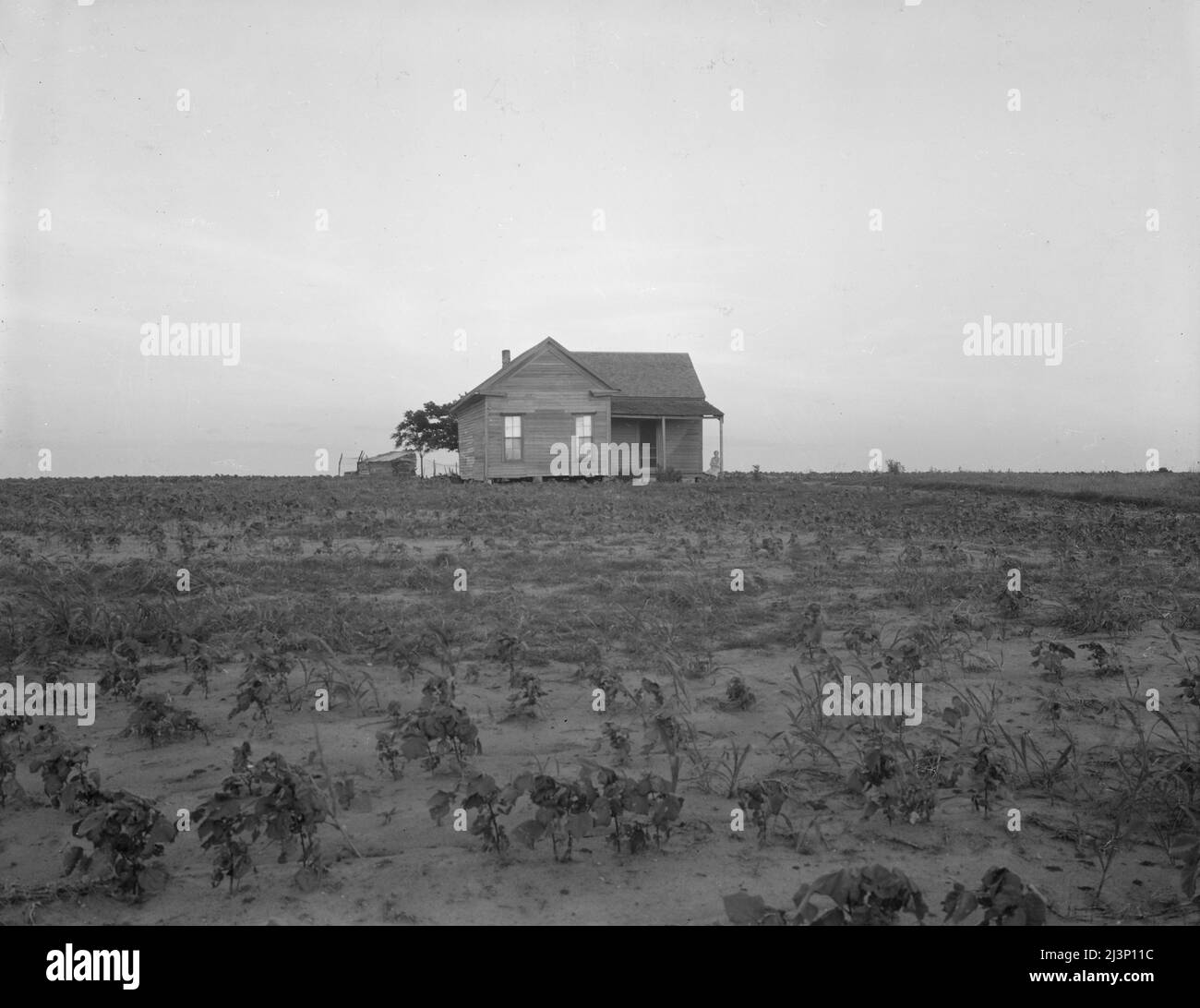 Texas farm 20th century hi-res stock photography and images - Alamy