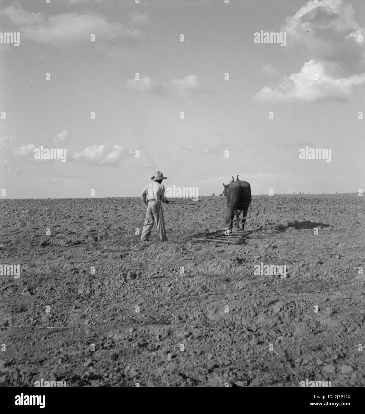 Much harrowing Black and White Stock Photos & Images - Alamy