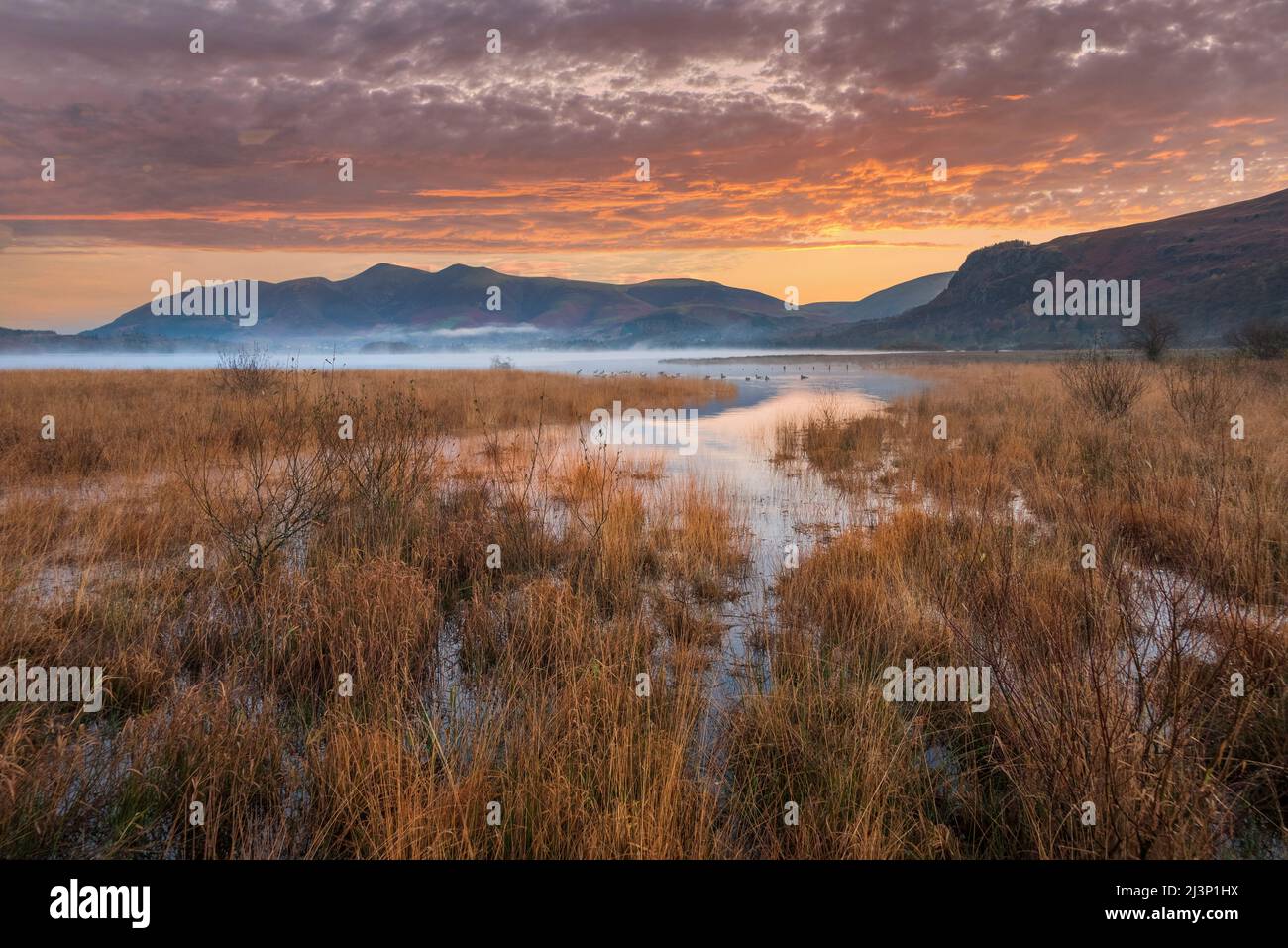 Epic Autumn sunrise landscape image looking from Manesty Park in Lake ...