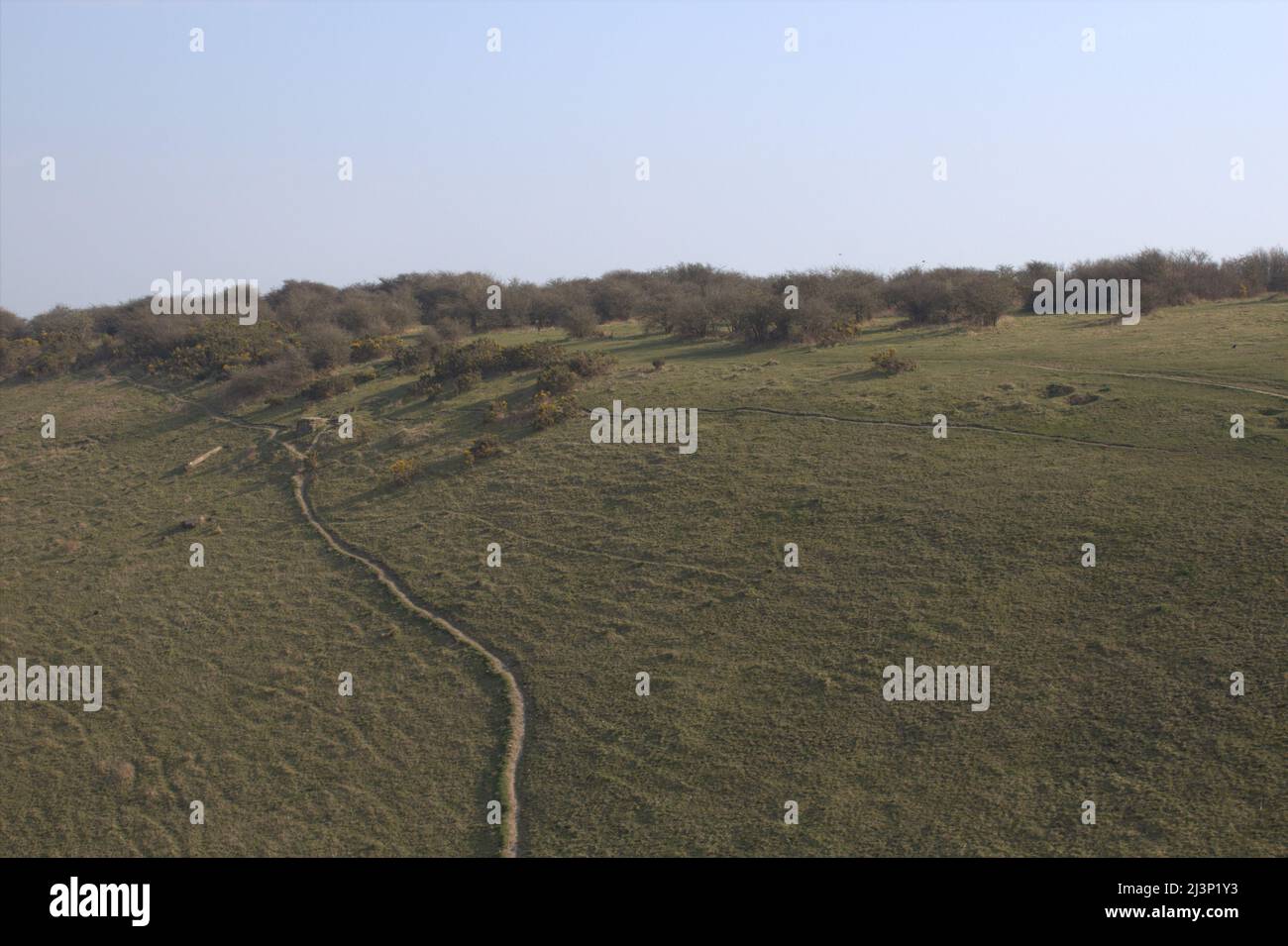 Plain open grassy open field Stock Photo - Alamy