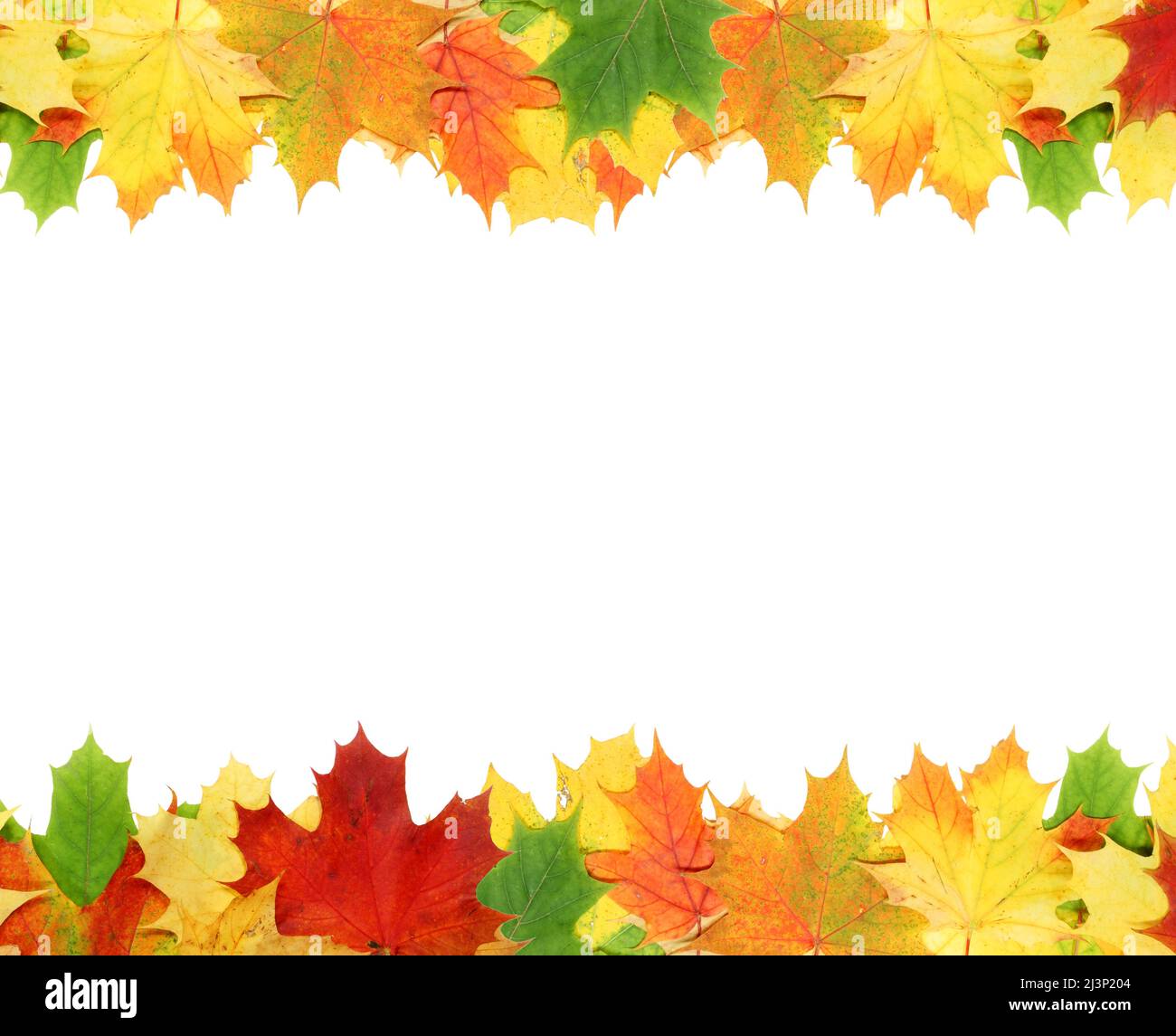 Tree frame collage element hi-res stock photography and images - Alamy