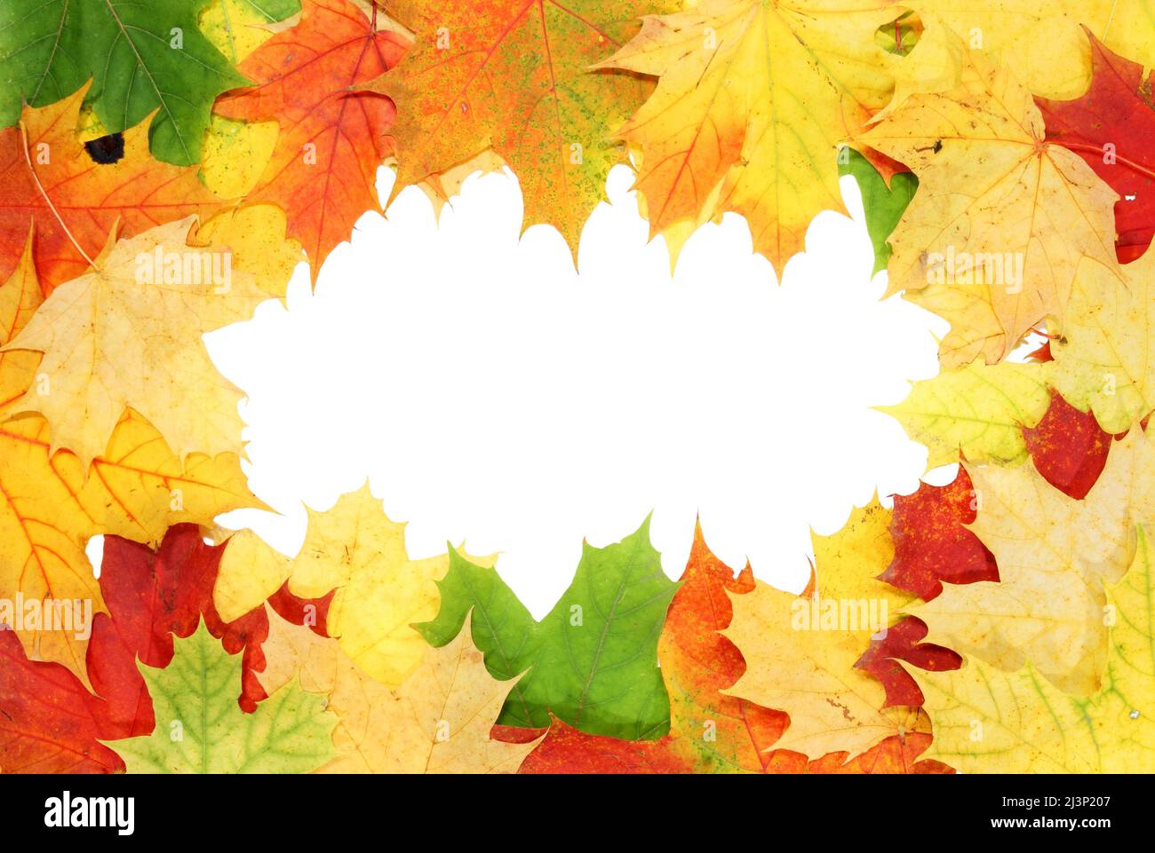 Leaf frame collage element hi-res stock photography and images - Alamy