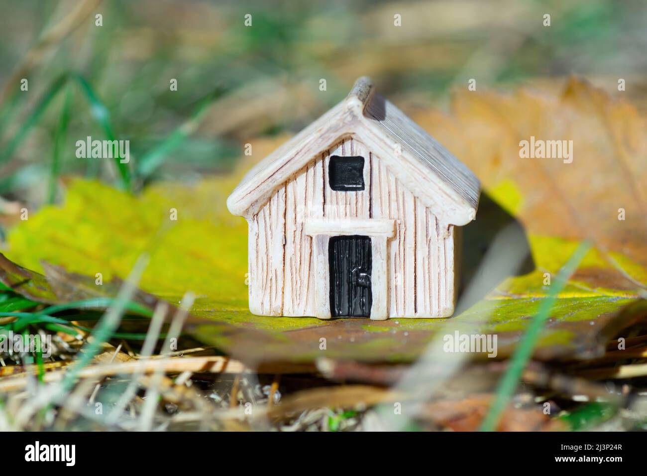 Close-up of a miniature toy house on a leaf in the woods. Family nest ...