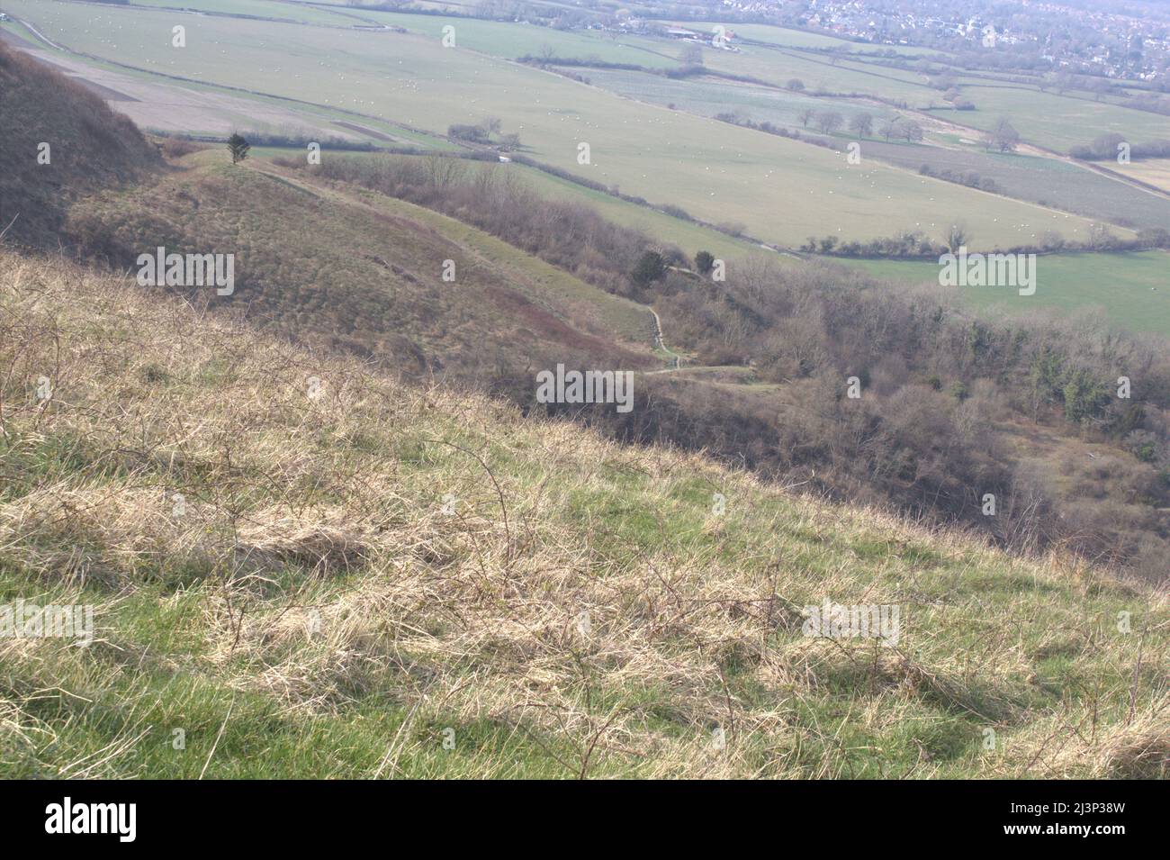 Plain open grassy open field Stock Photo - Alamy
