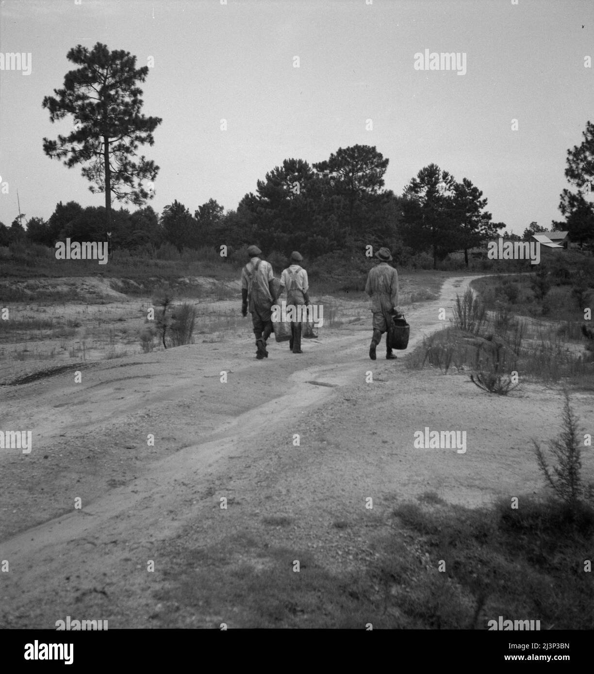 American dippers Black and White Stock Photos & Images - Alamy