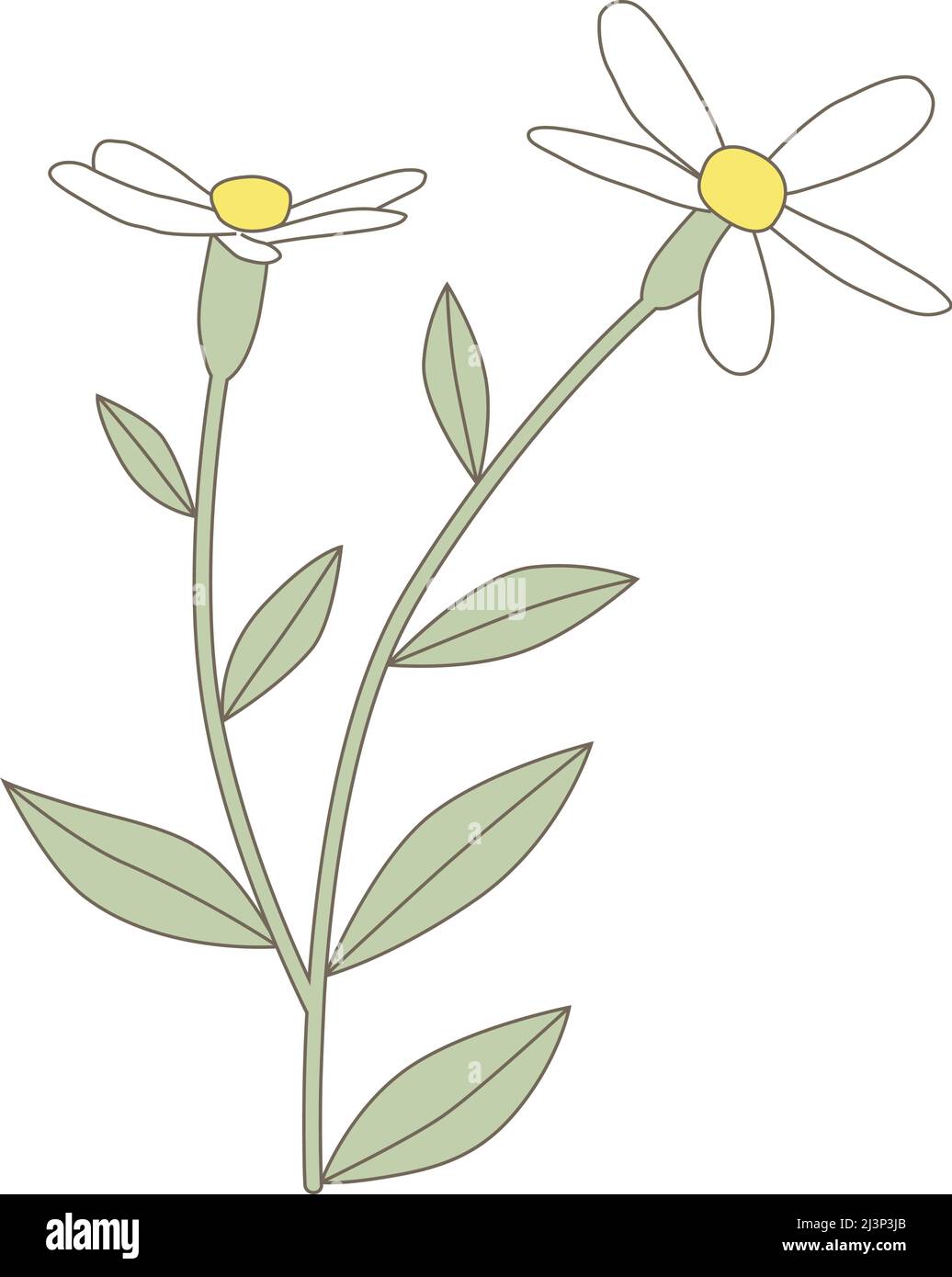 spring flower, vector Stock Vector Image & Art - Alamy