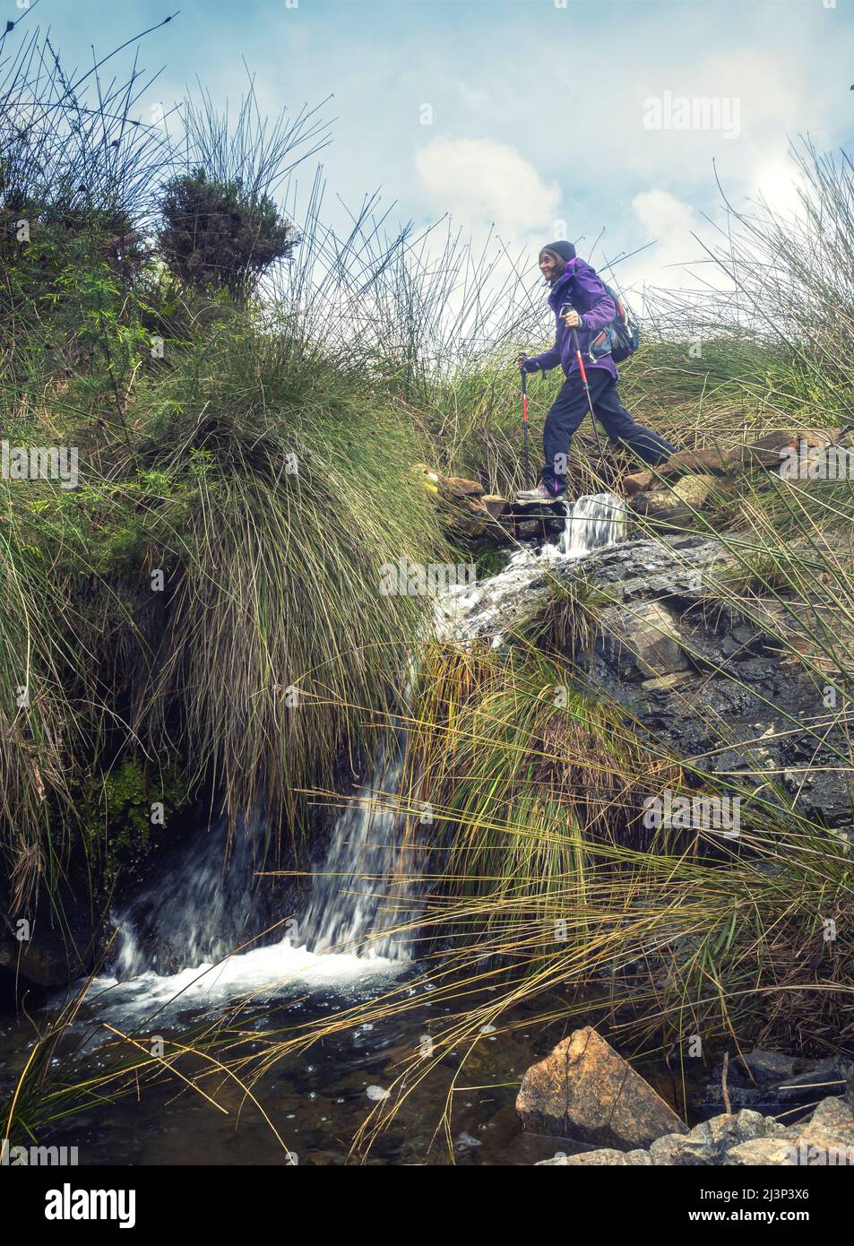 Woman alone with walking sticks and backpack crossing a stream. Walking ...