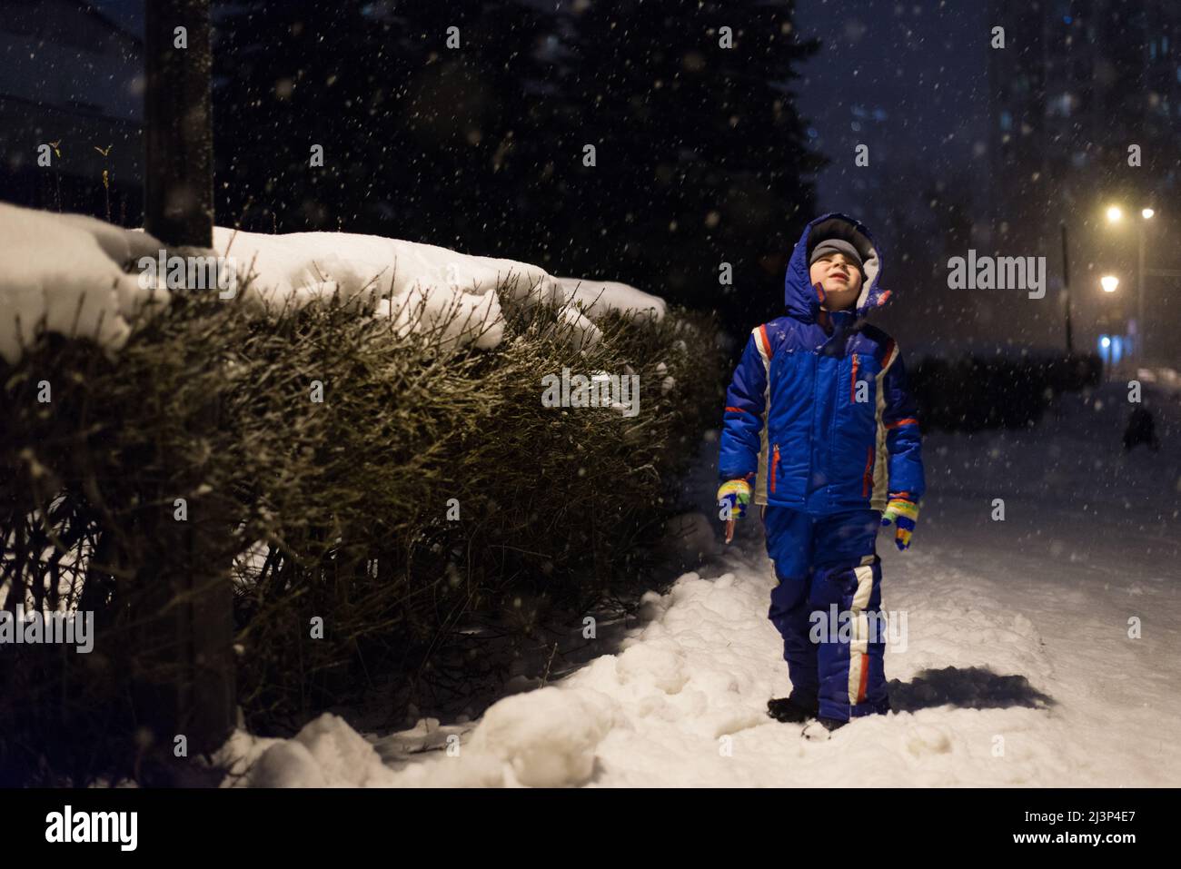 Park alley with falling snow at night Stock Photo - Alamy