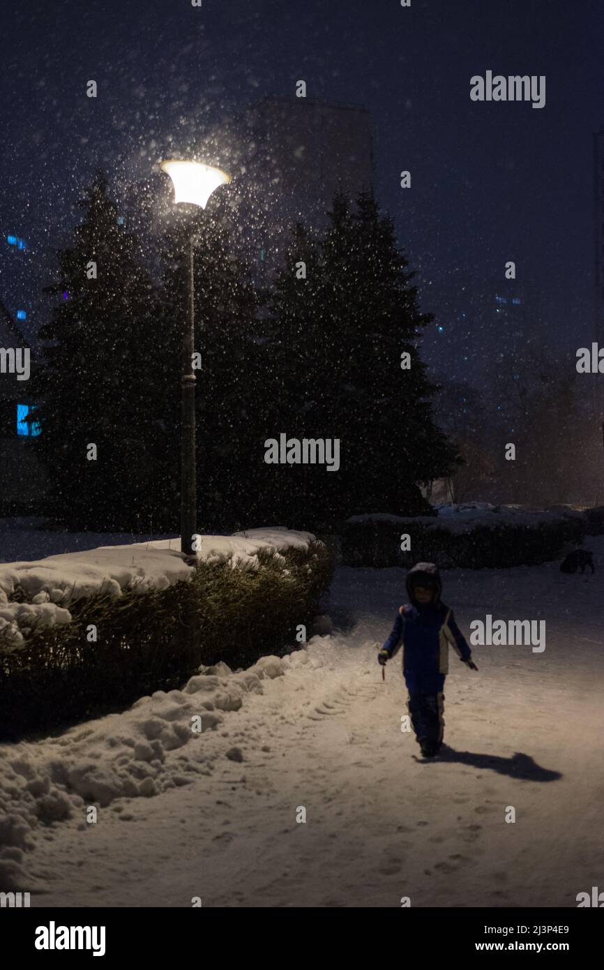 Park alley with falling snow at night Stock Photo - Alamy