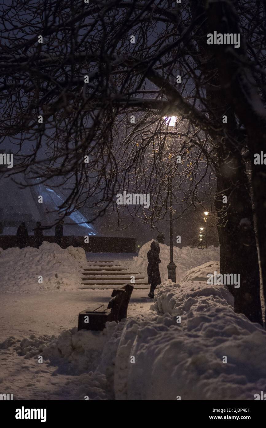 Park alley with falling snow at night Stock Photo - Alamy