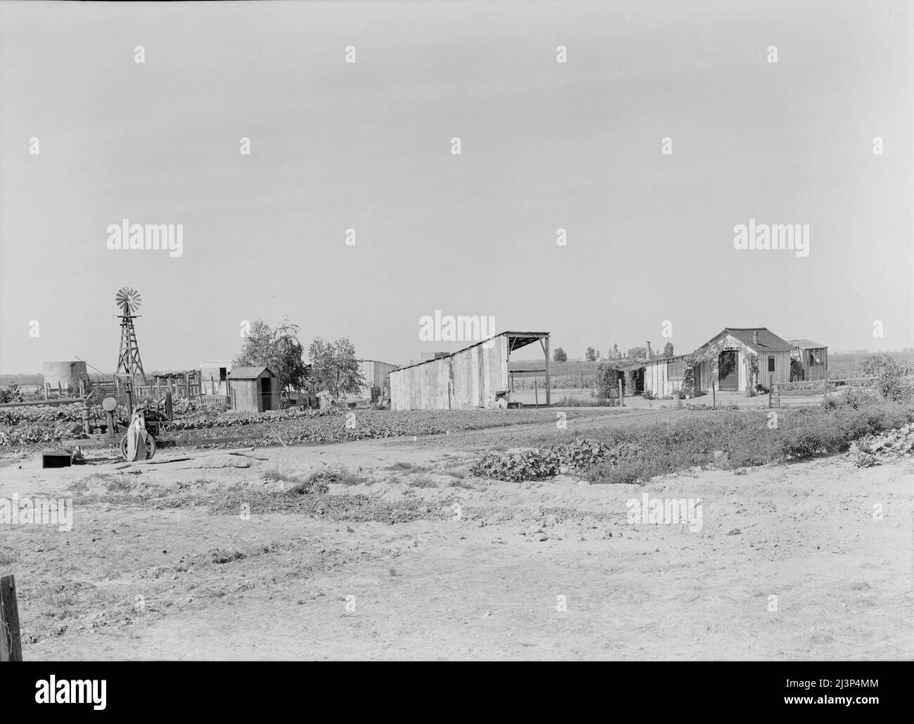 Small vegetable garden on Black and White Stock Photos & Images - Alamy