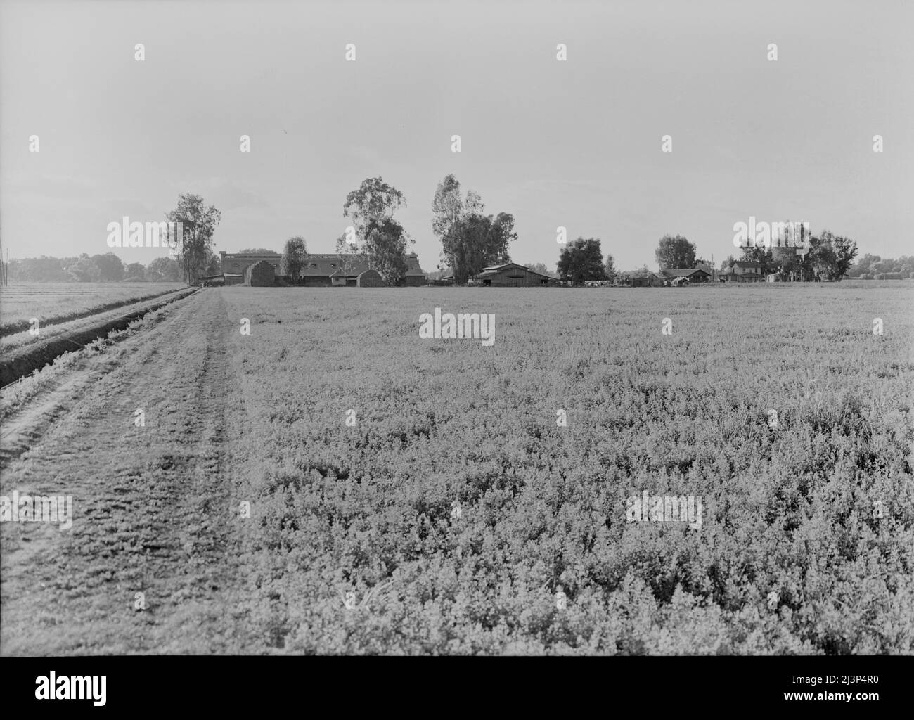 King ranch Black and White Stock Photos & Images - Alamy