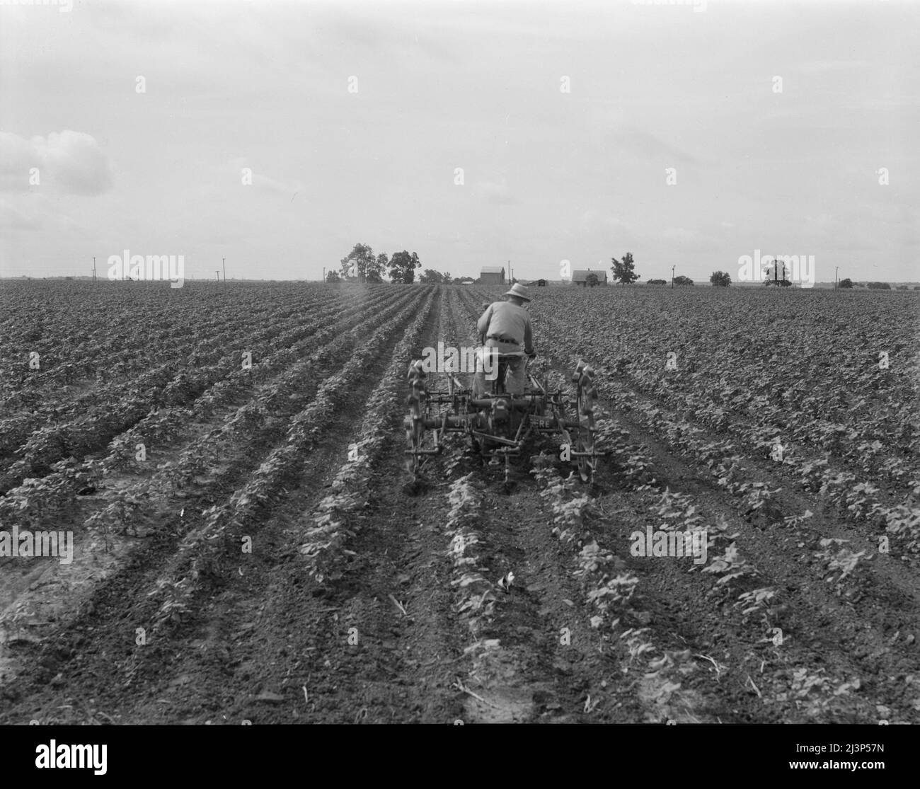 Texas corsicana hi-res stock photography and images - Alamy