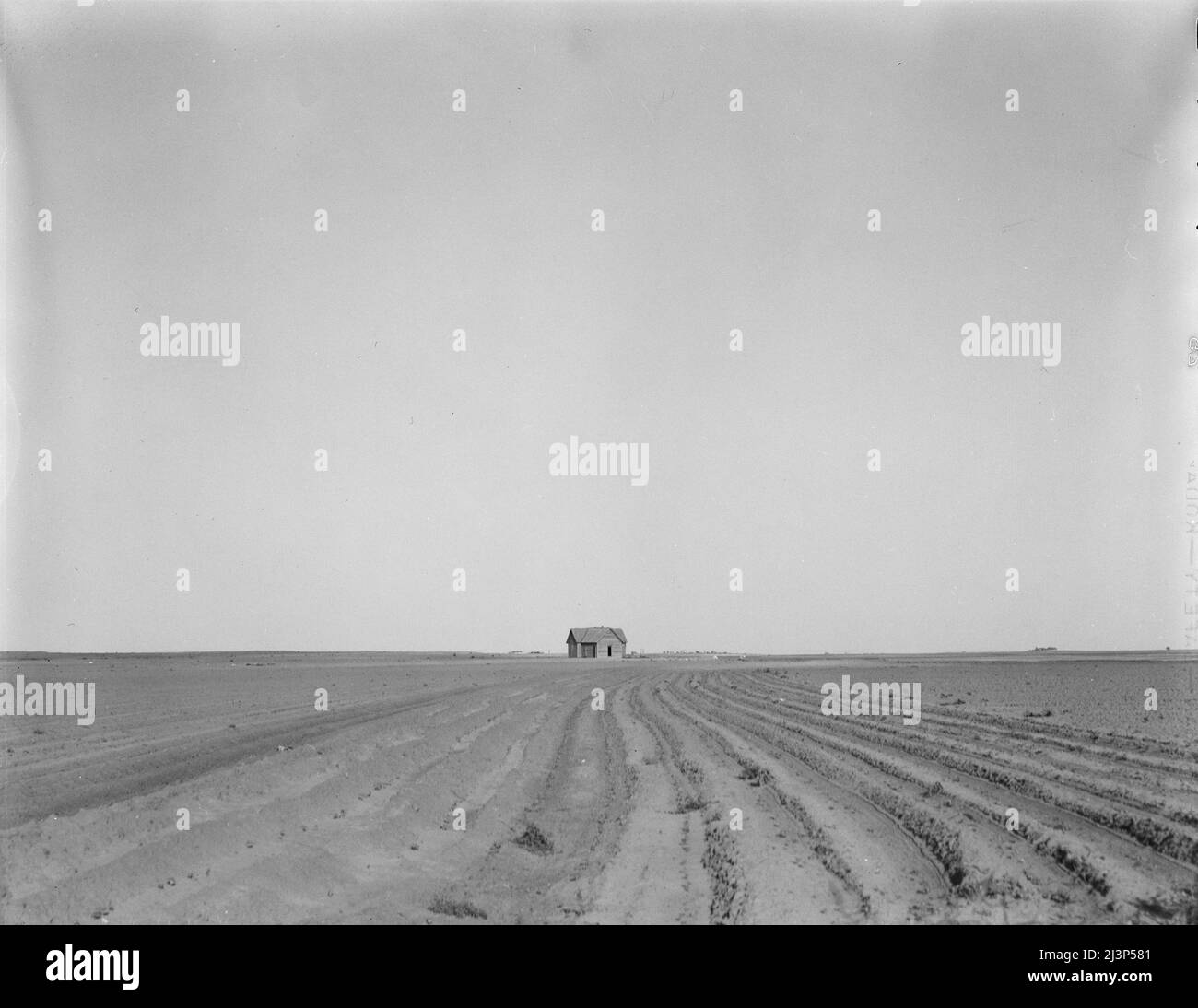 Abandoned tenant house, seen across tractored cotton fields. Childress ...