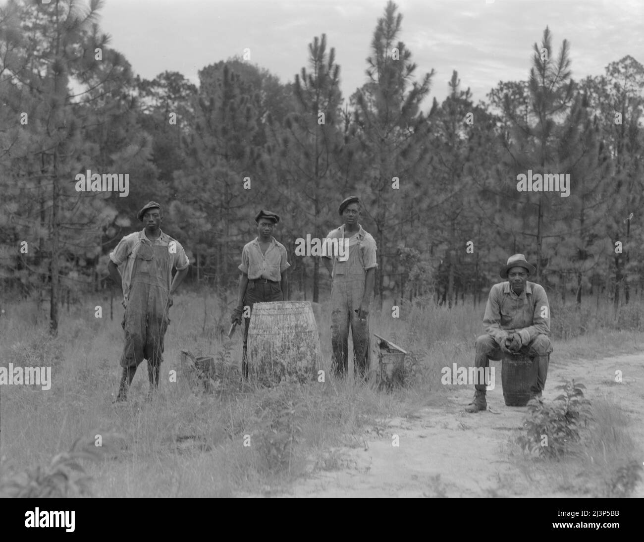 Turpentine workers. Georgia Stock Photo - Alamy