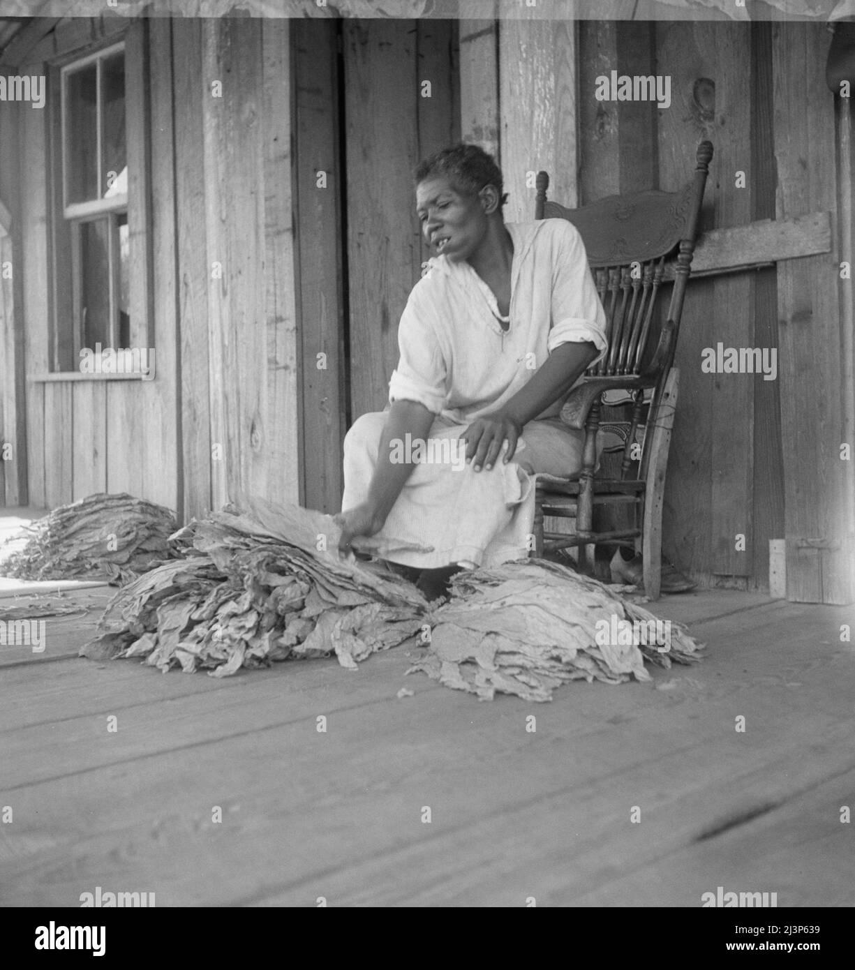 Grade leaves Black and White Stock Photos & Images - Alamy