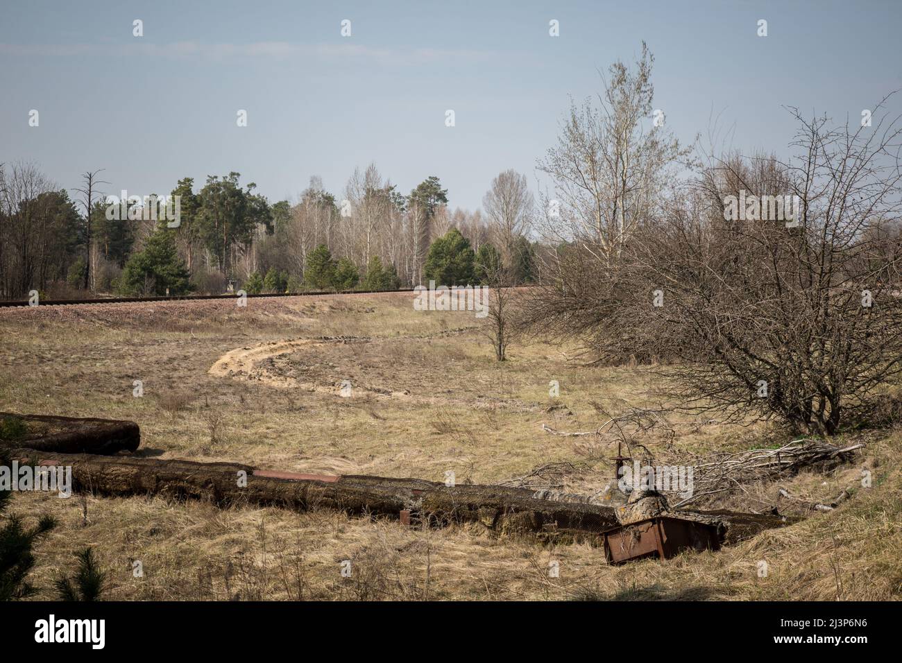 Chernobyl Red Forest