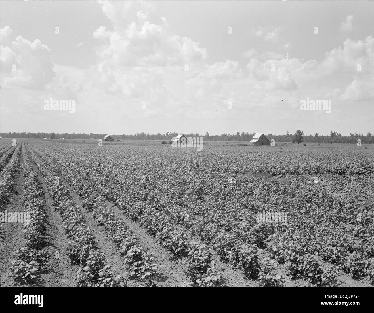 Delta south america Black and White Stock Photos & Images - Alamy