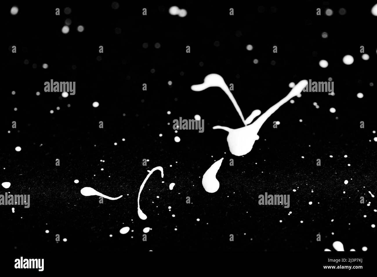 closeup of white paint drops on black paper background for design ...