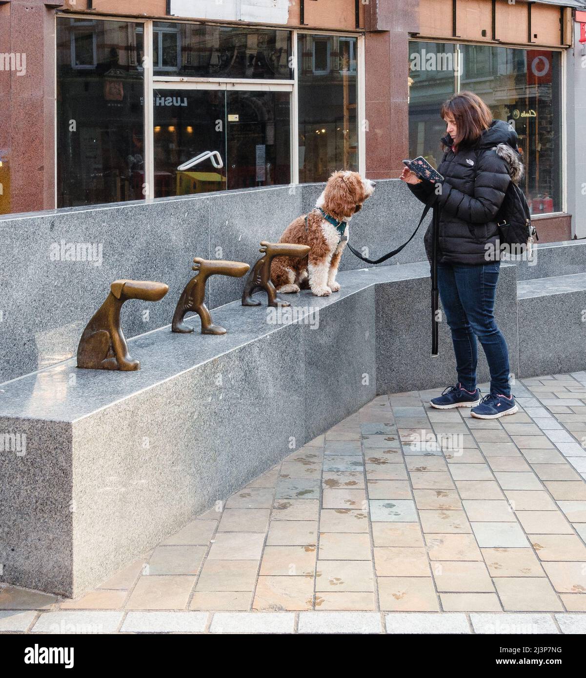 Funny picture of real dog sitting next to statues of dogs as armrests ...