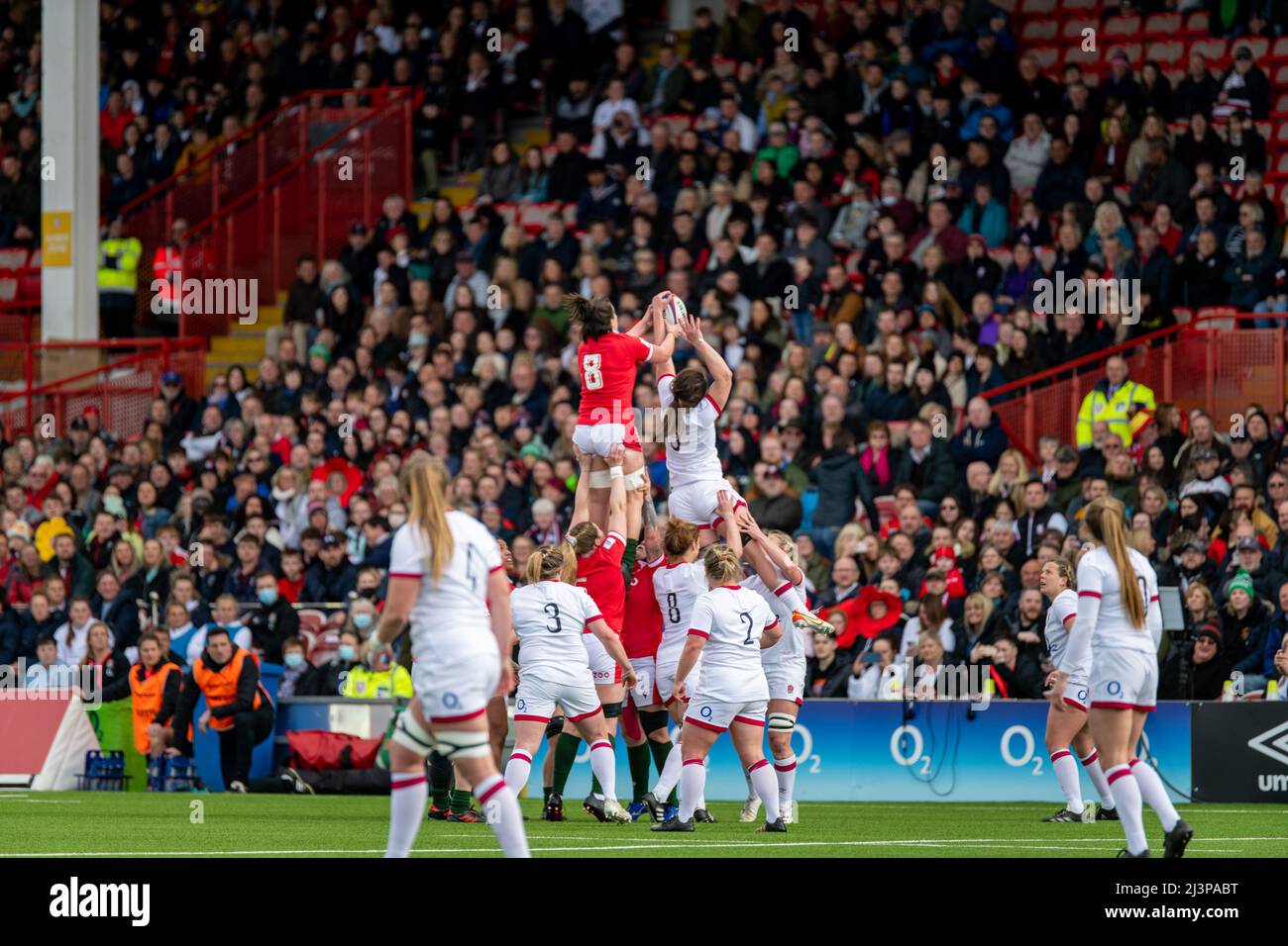 England rugby women red roses hi-res stock photography and images - Alamy