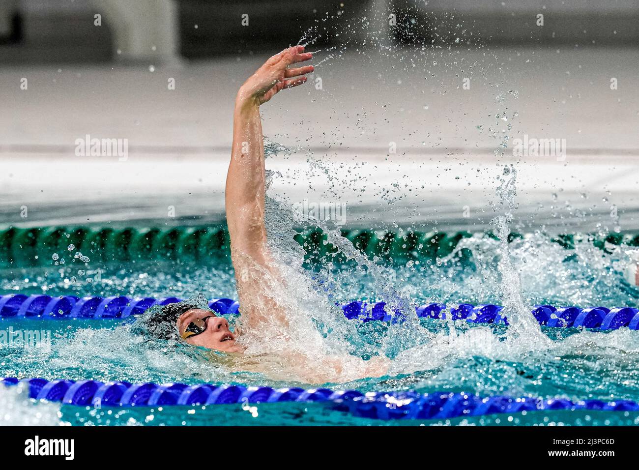 Sonneveld hi-res stock photography and images - Alamy