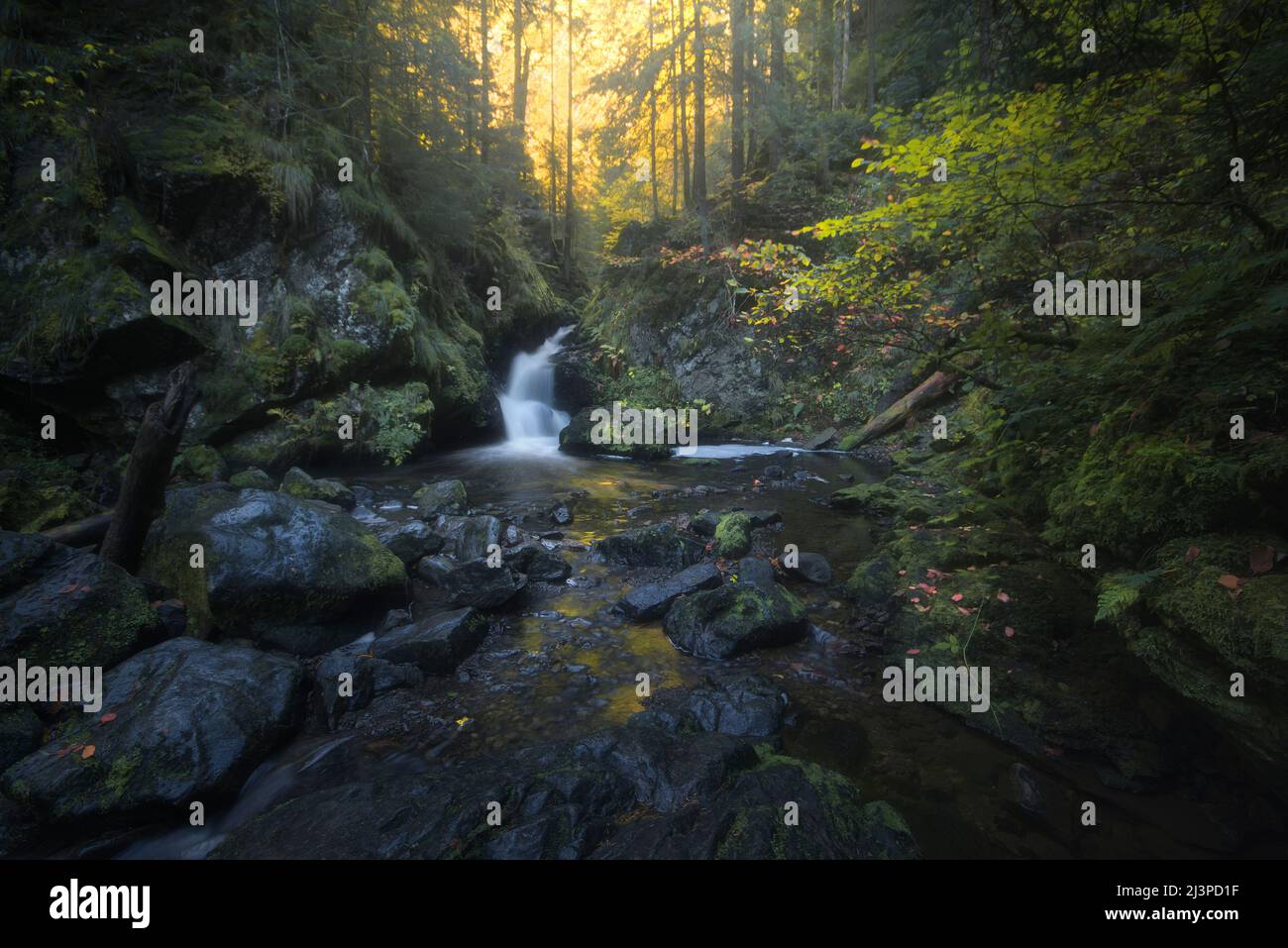 Germany black forest ravenna hi-res stock photography and images - Alamy