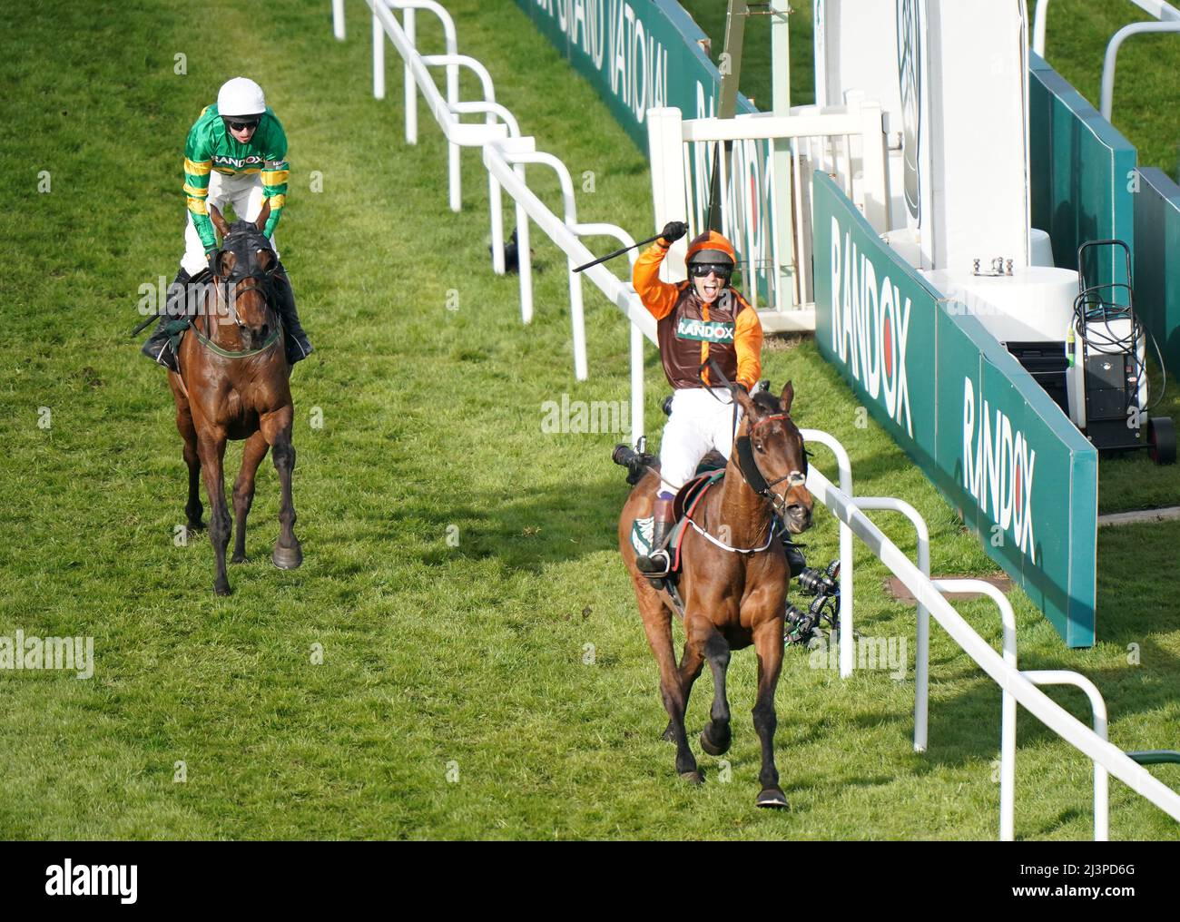 Noble yeats horse hi-res stock photography and images - Alamy