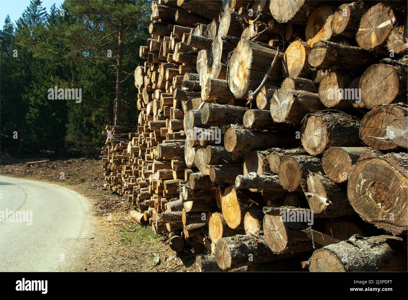 Cutdown hi-res stock photography and images - Alamy