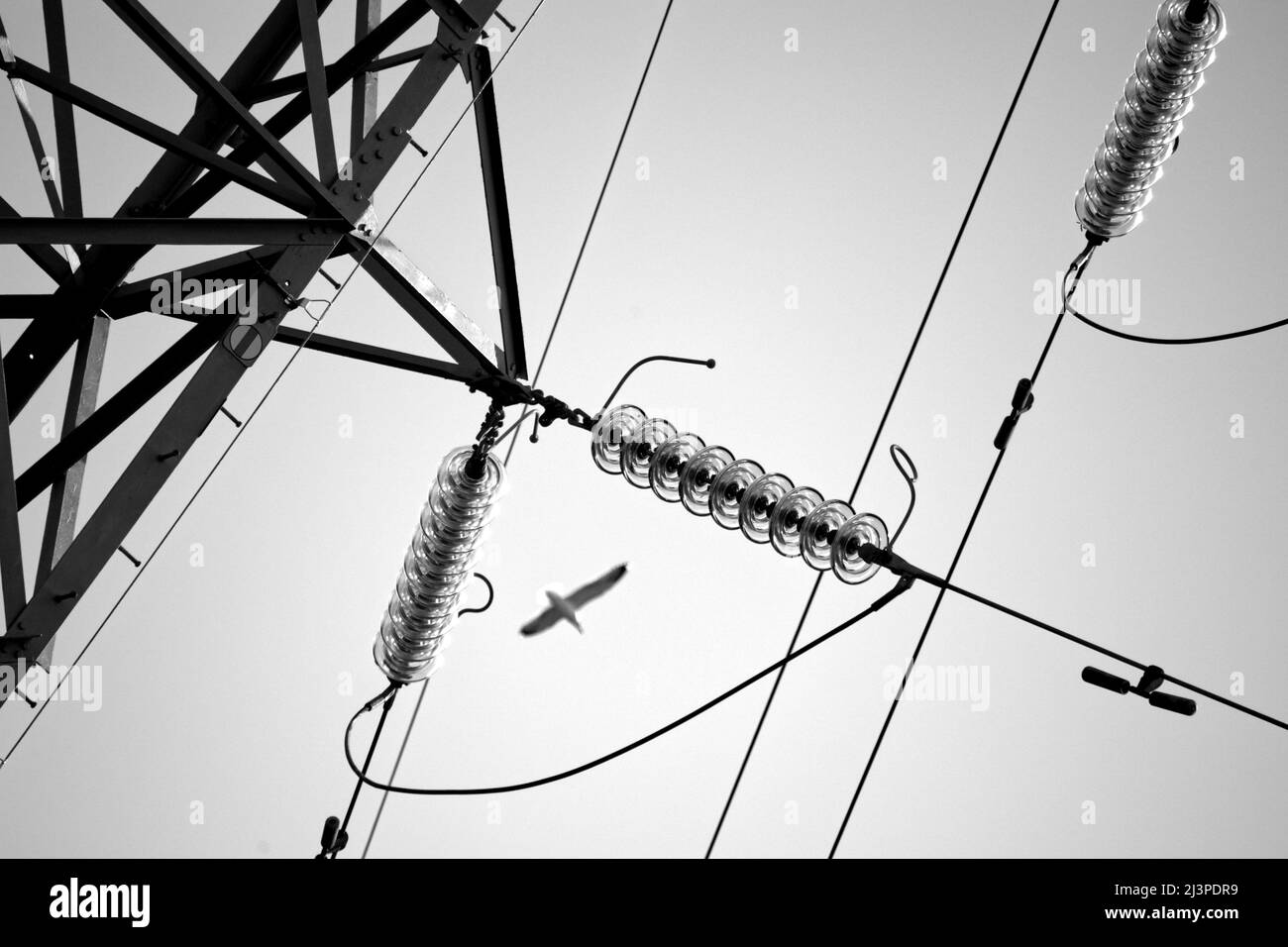 Power Generation and distribution, renewable wind turbines, overhead ...