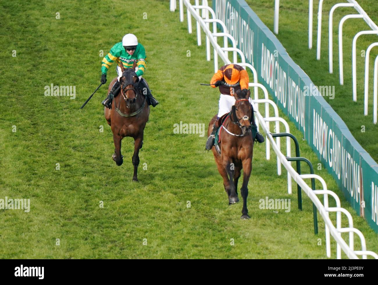 Noble yeats horse hi-res stock photography and images - Alamy