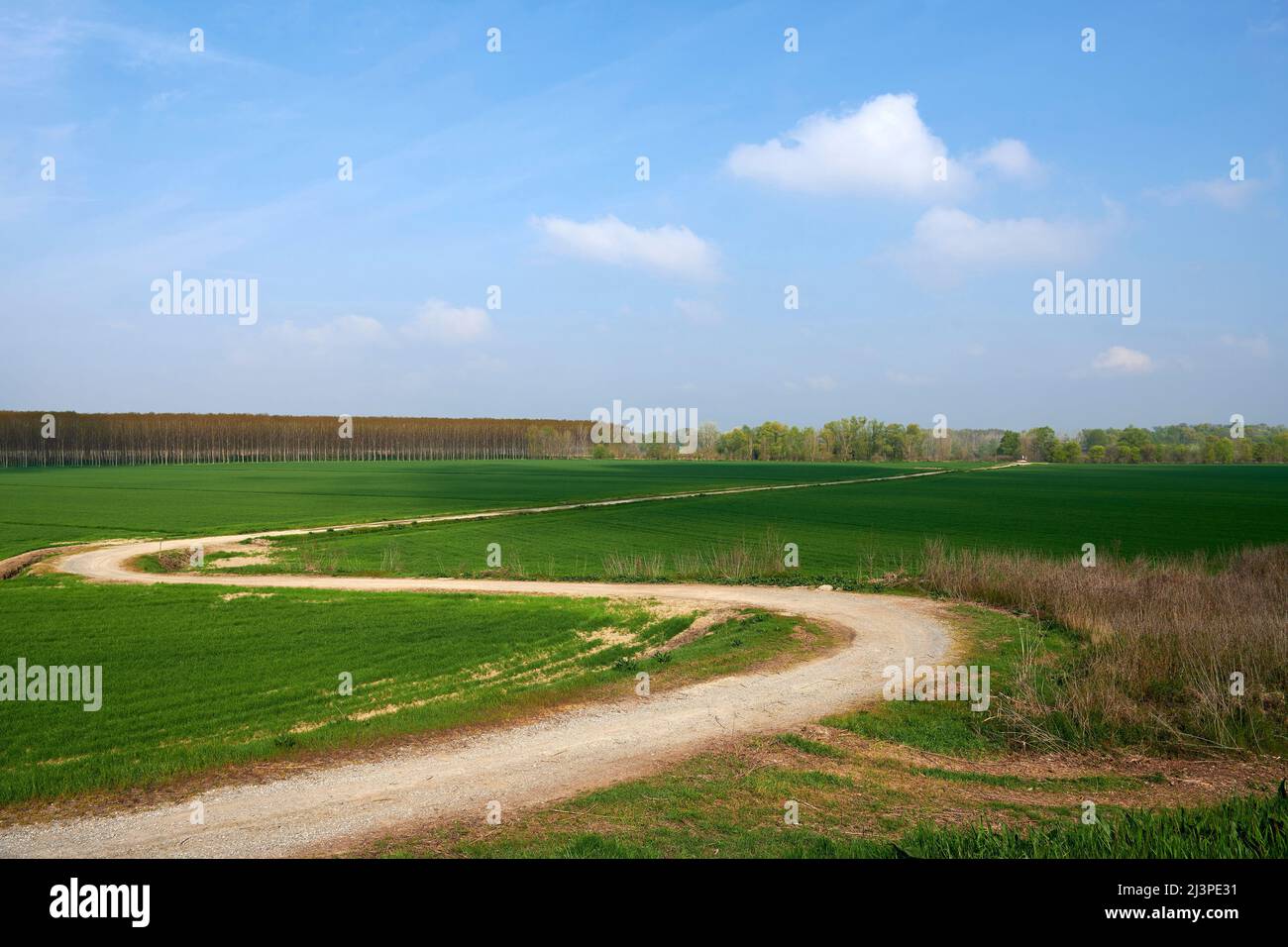 Luzzara hi-res stock photography and images - Alamy
