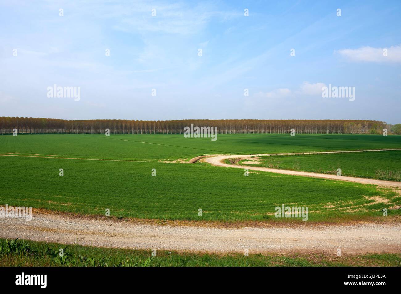 Luzzara hi-res stock photography and images - Alamy