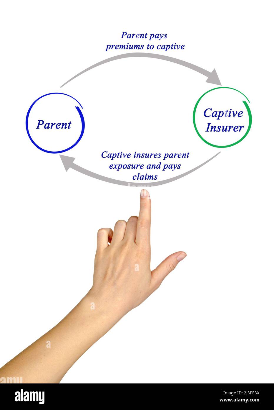 Explaining How captive insurance works Stock Photo - Alamy