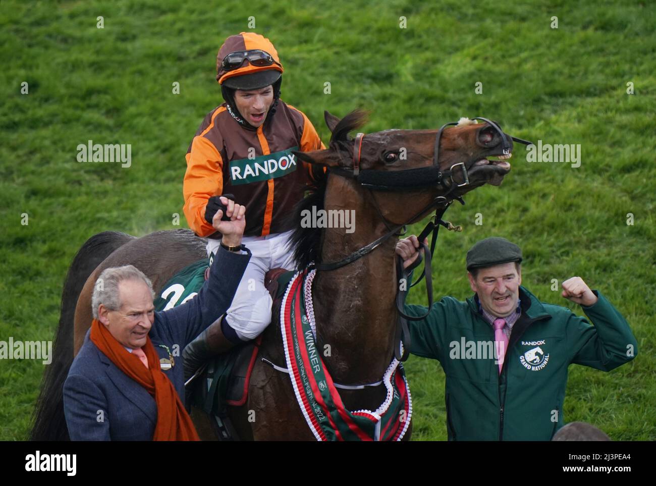 Noble yeats horse hi-res stock photography and images - Alamy