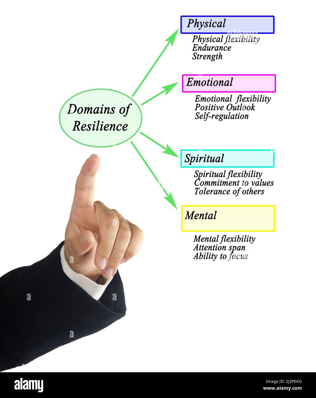 Man presenting Domains of Resilience Stock Photo - Alamy Man presenting Domains of Resilience Stock Photo - Alamy