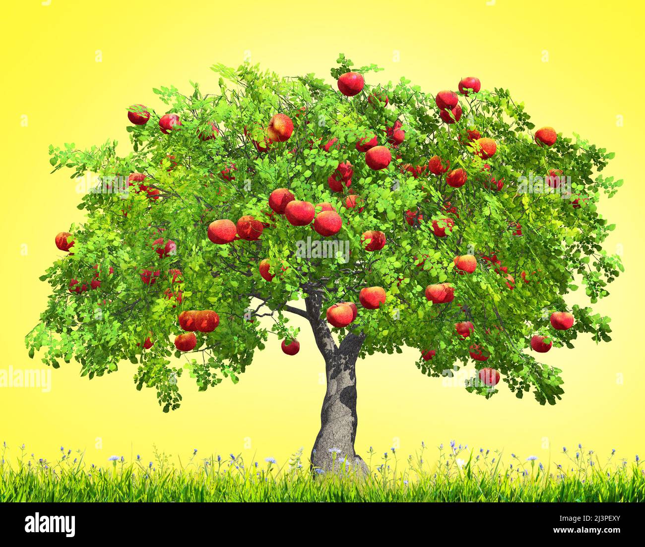 Red Apple Tree Wallpaper