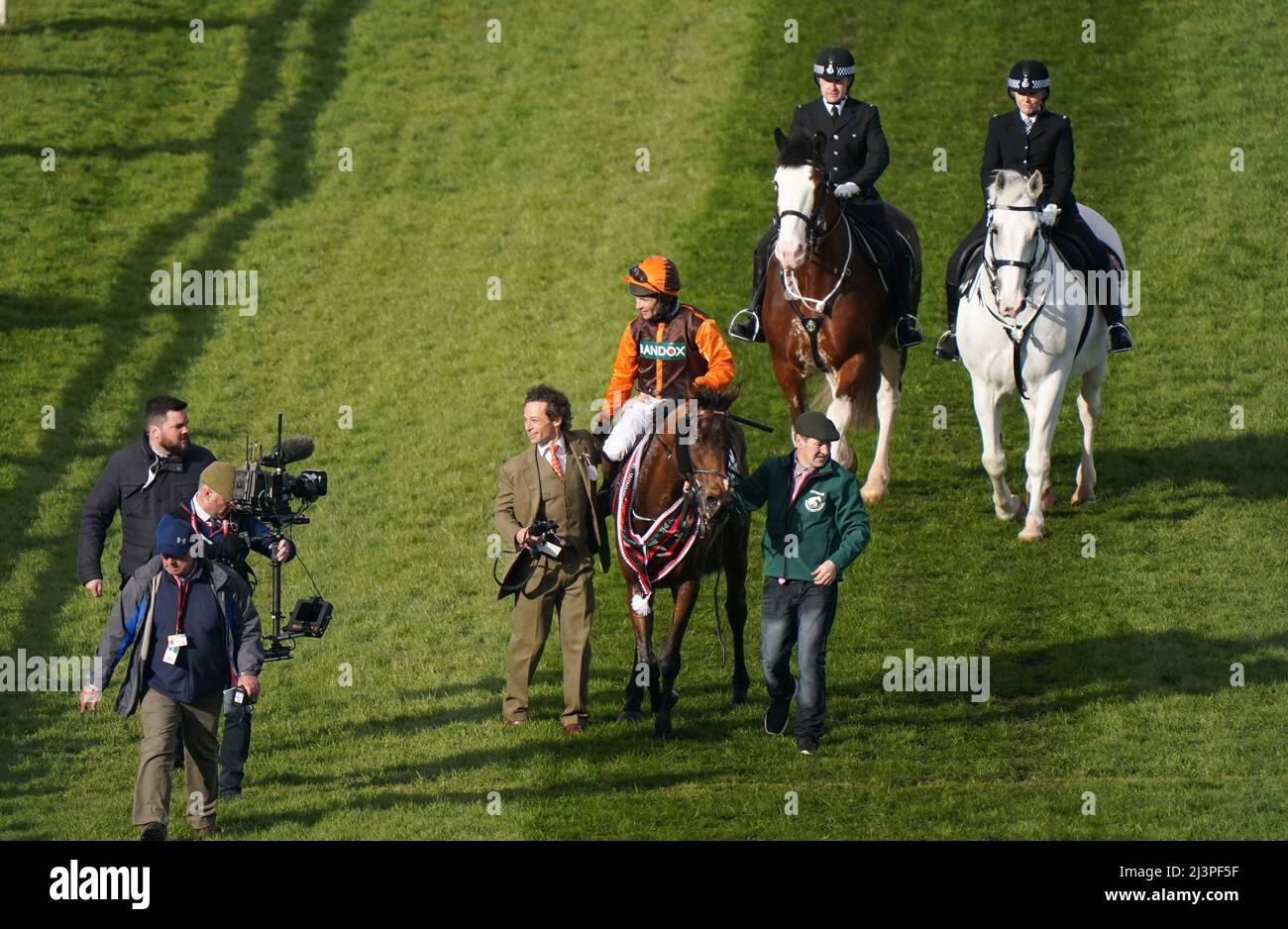 Noble yeats horse hi-res stock photography and images - Alamy