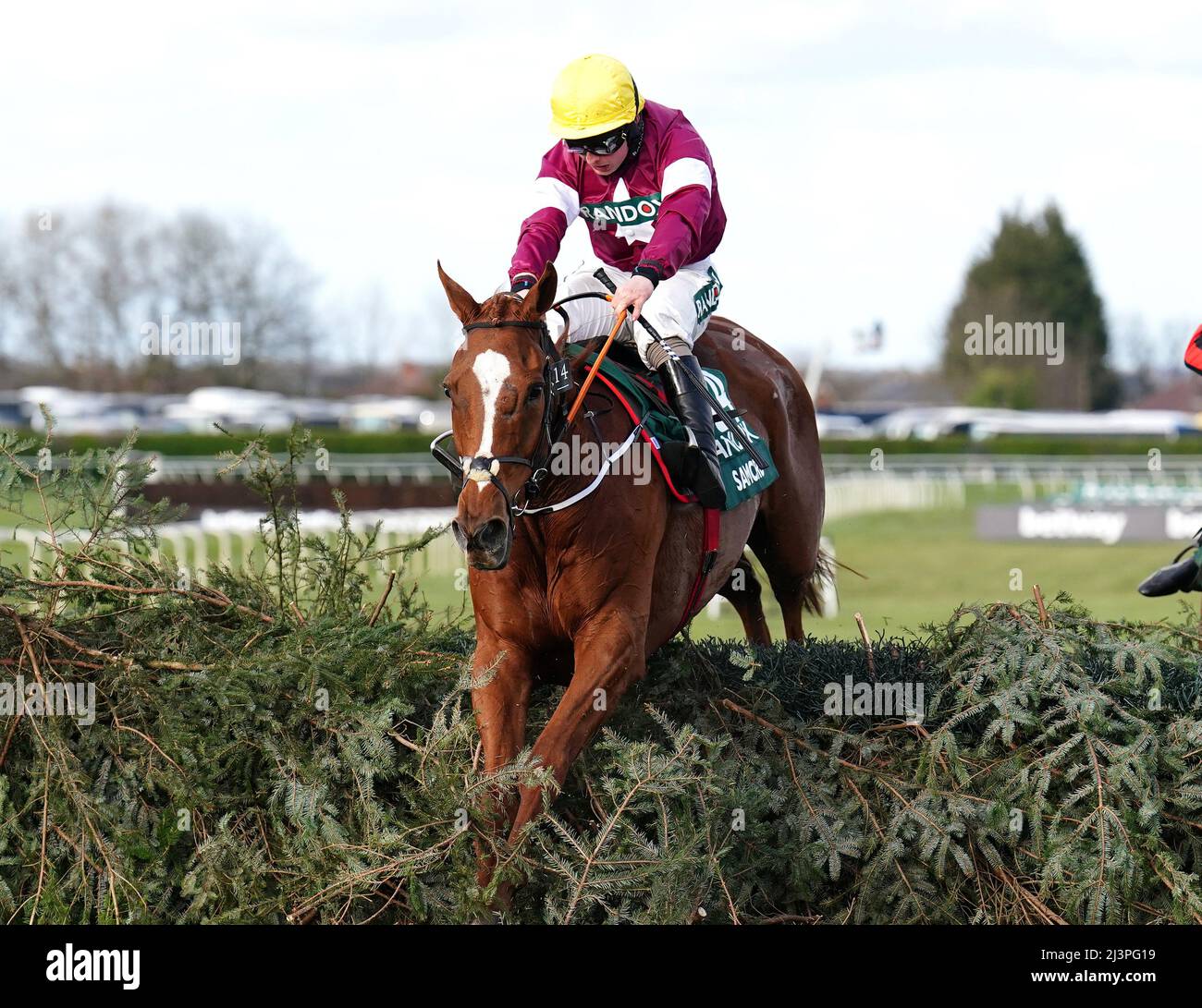 Coko beach horse hi-res stock photography and images - Alamy